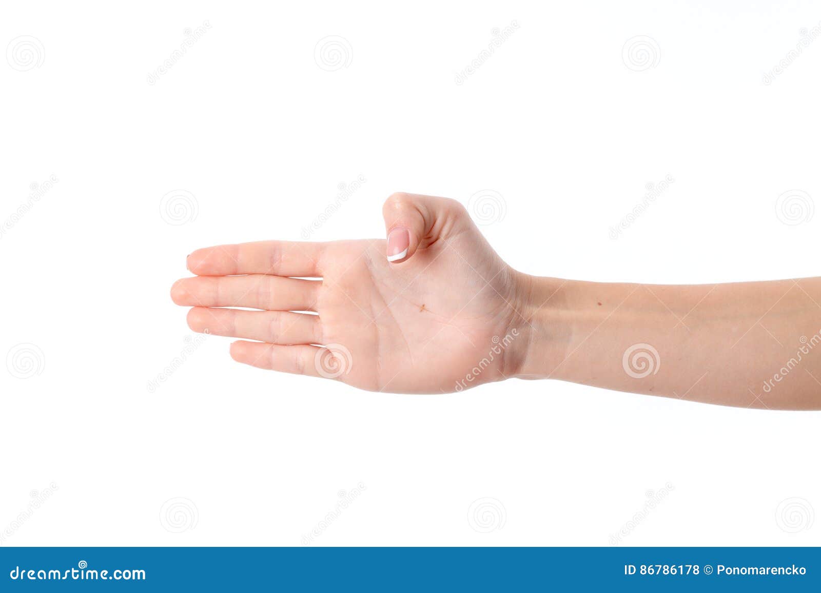 Female Hand Stretched Towards Direct Hands Isolated on White Background ...