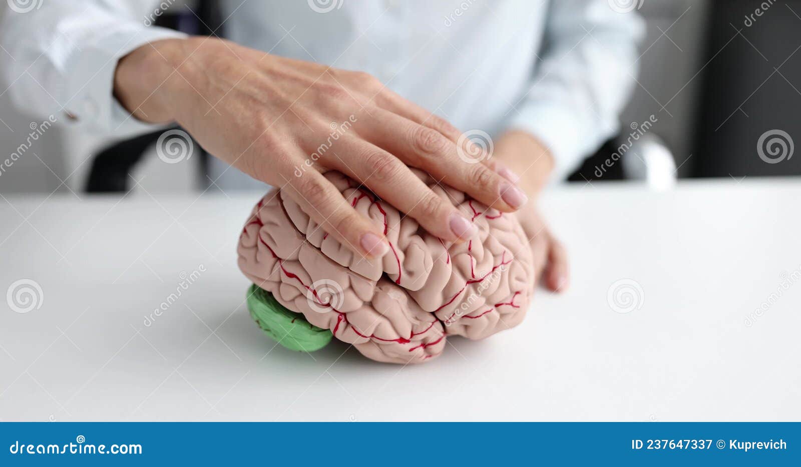 Female Hand Strokes Mock Up of Human Brain Stock Video - Video of ...