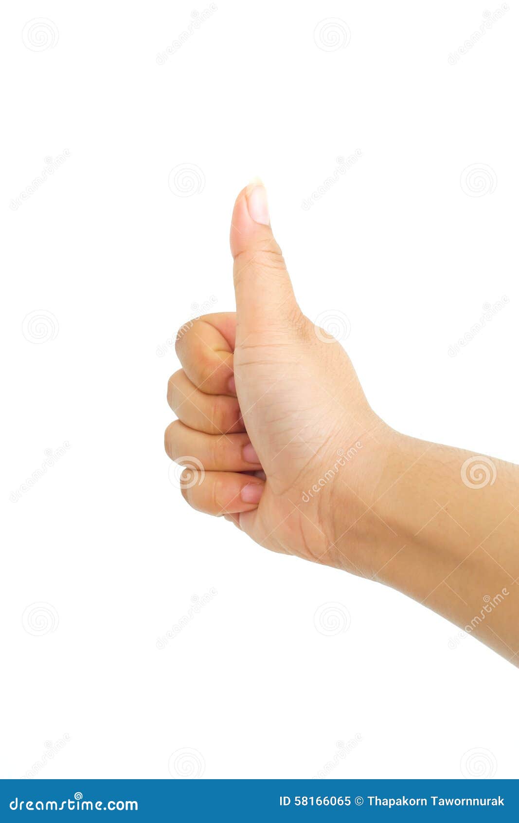 Female Hand with Thump Up on Isolated Stock Image - Image of friendly ...