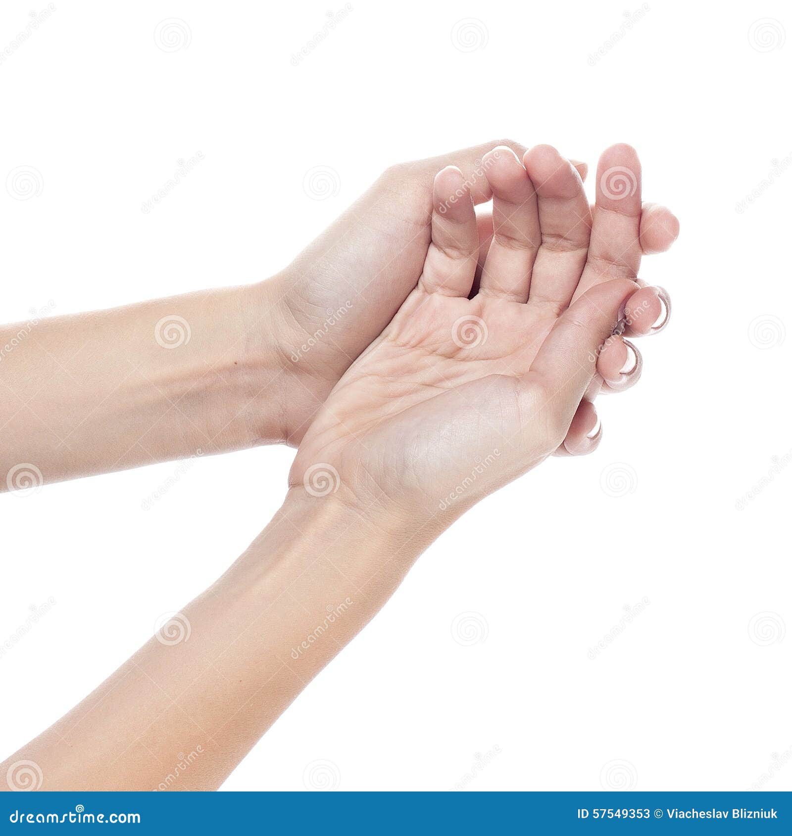 Female Hand To Create a Collage, Isolated on White Stock Image - Image ...