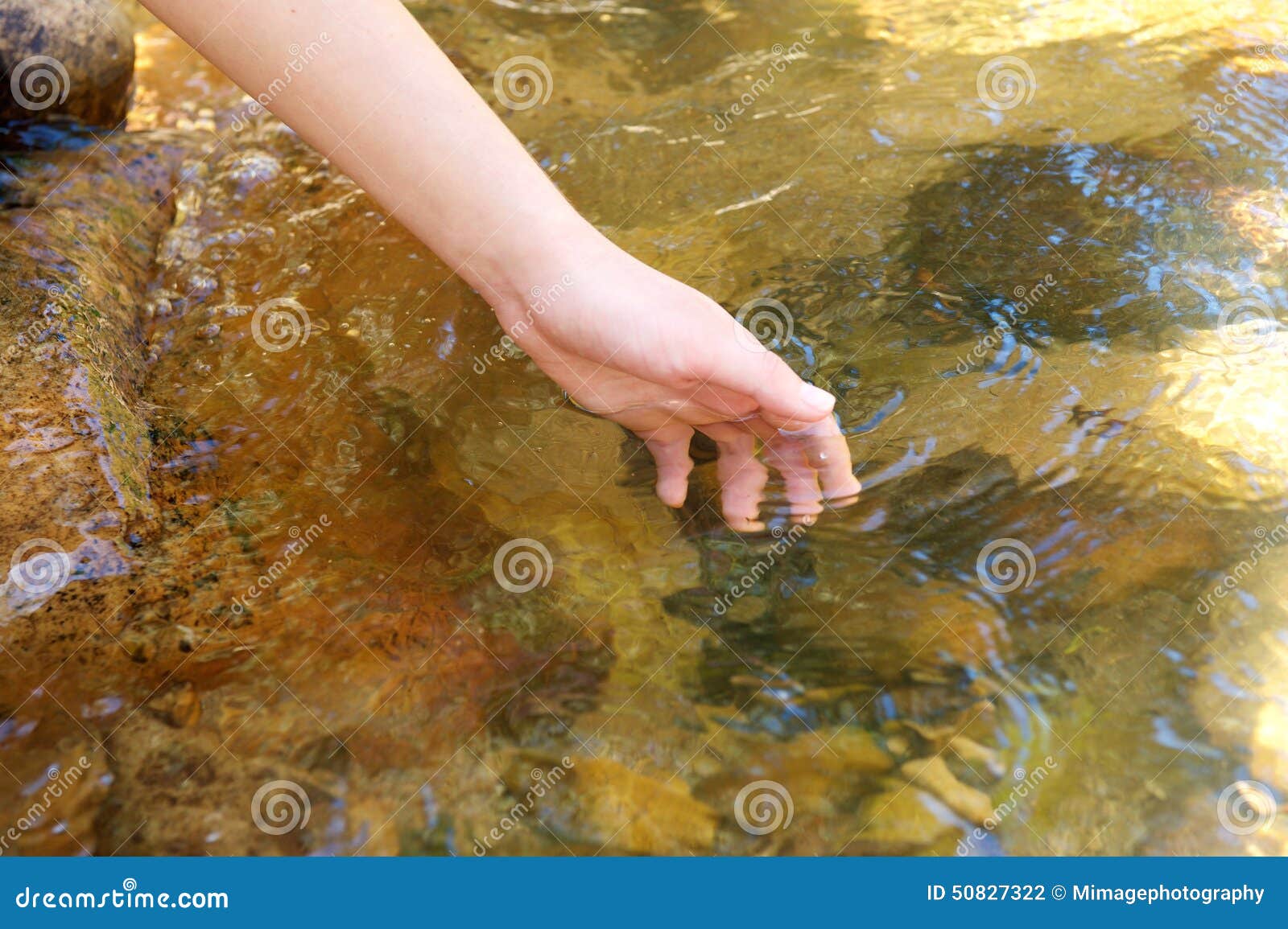 Female Hand Touching Fresh Stream Water Stock Photo - Image of ...