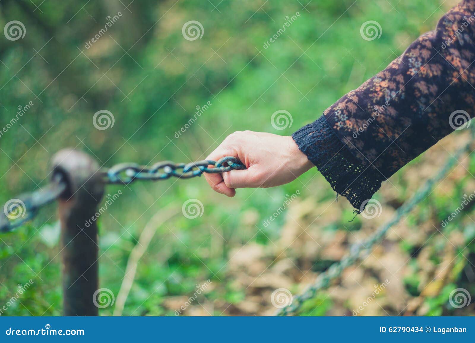 Female Hand Touching Railing in Forest Stock Photo - Image of ...