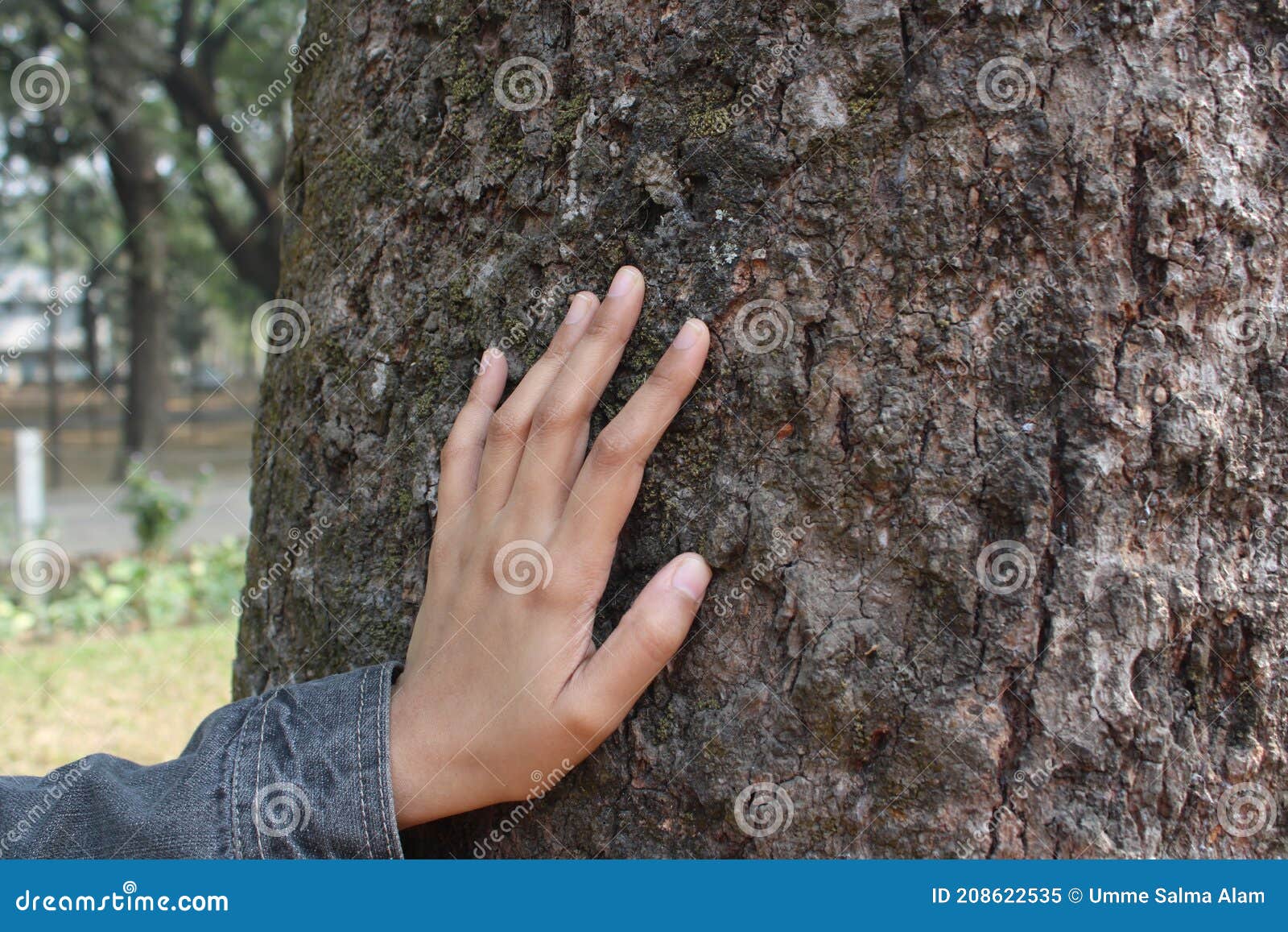 Female Hand Touching Tree, Nature Conceptual Photo Stock Image - Image ...