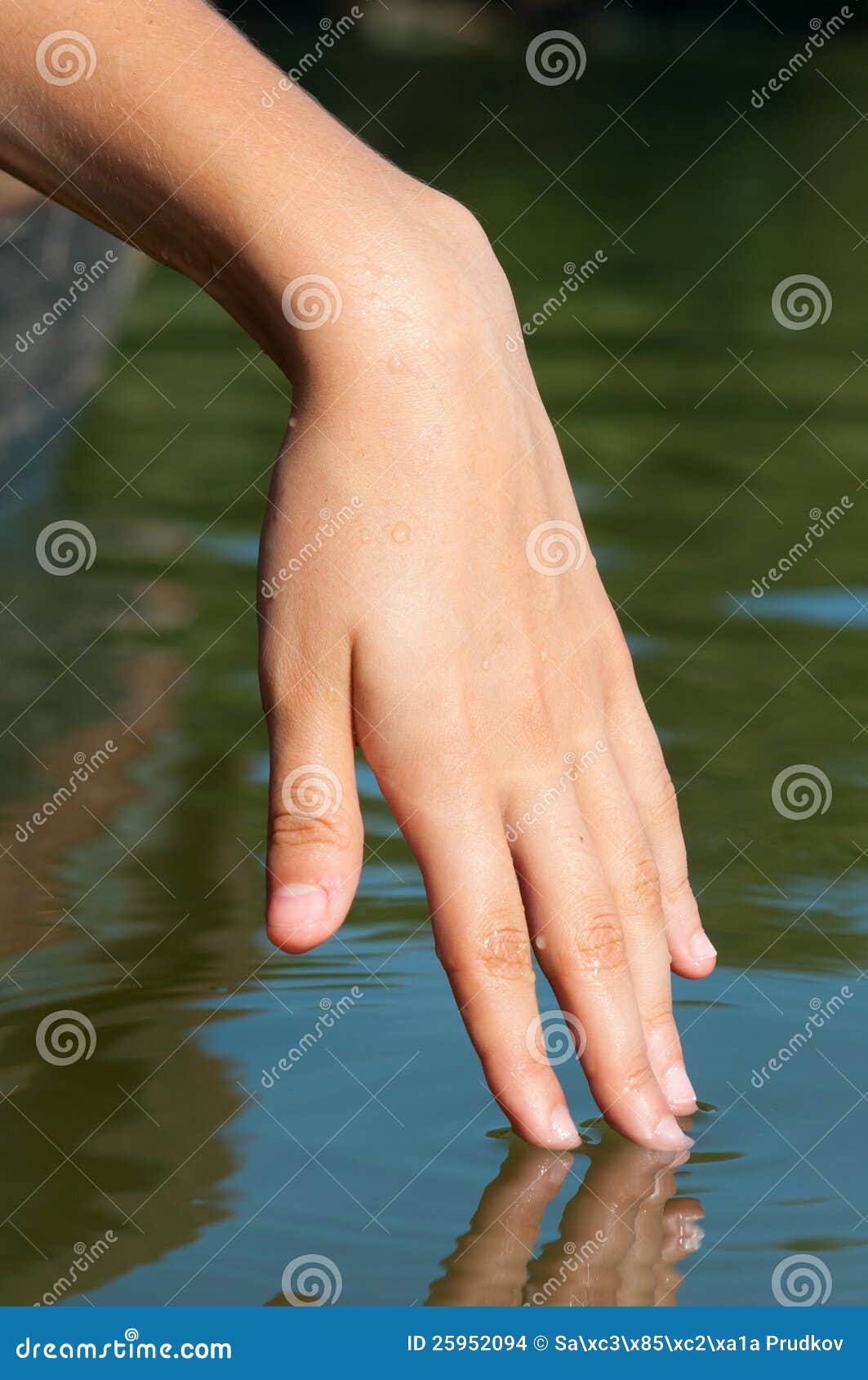 Female Hand Touching Water Surface Stock Photo - Image of sunny ...