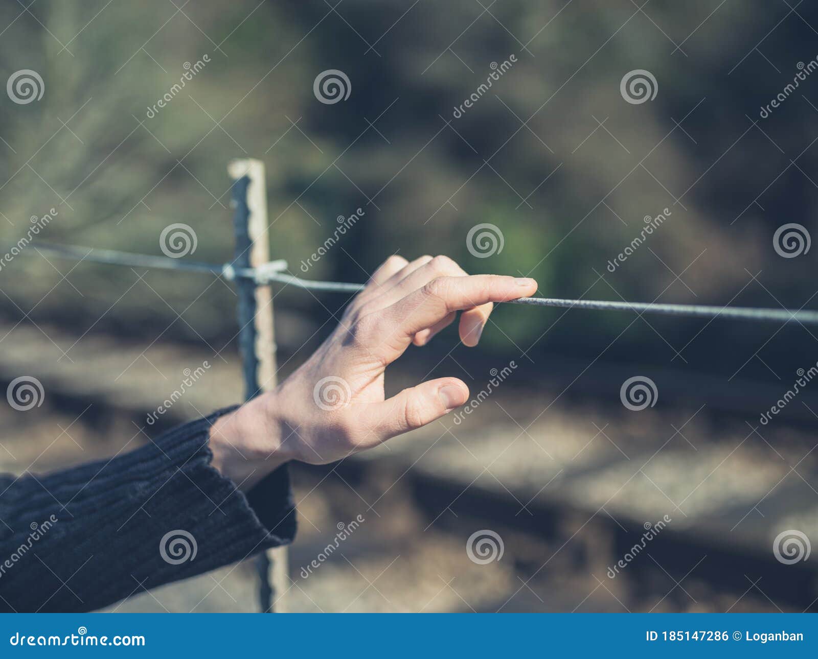 Female Hand Touching Wire Fence Stock Photo - Image of lifestyle ...