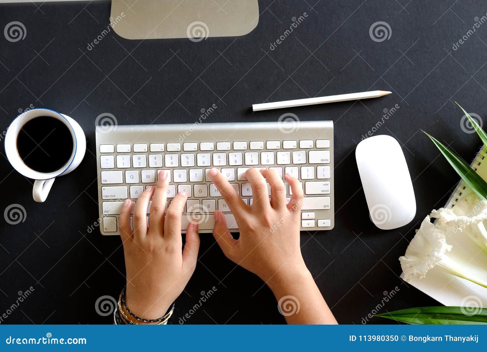 Female Working with Computer Stock Photo - Image of desktop, digital ...
