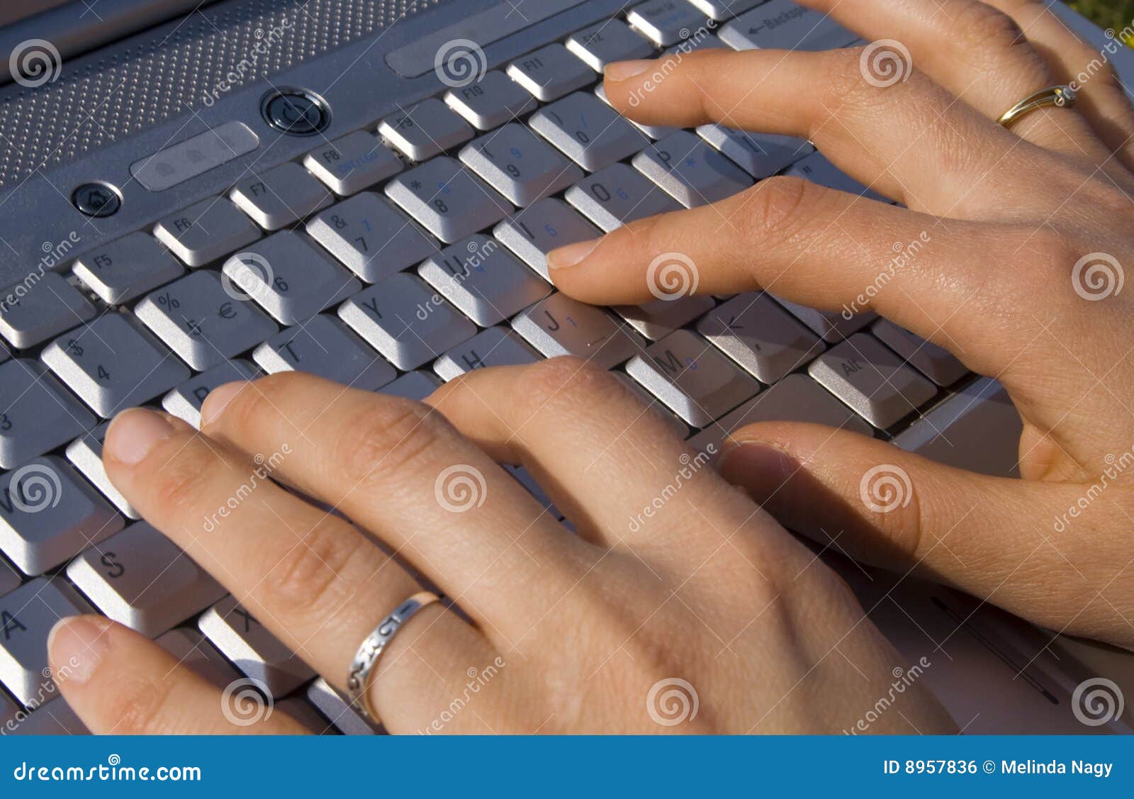 Female Hand Typing on Laptop Stock Photo - Image of closeup, close: 8957836