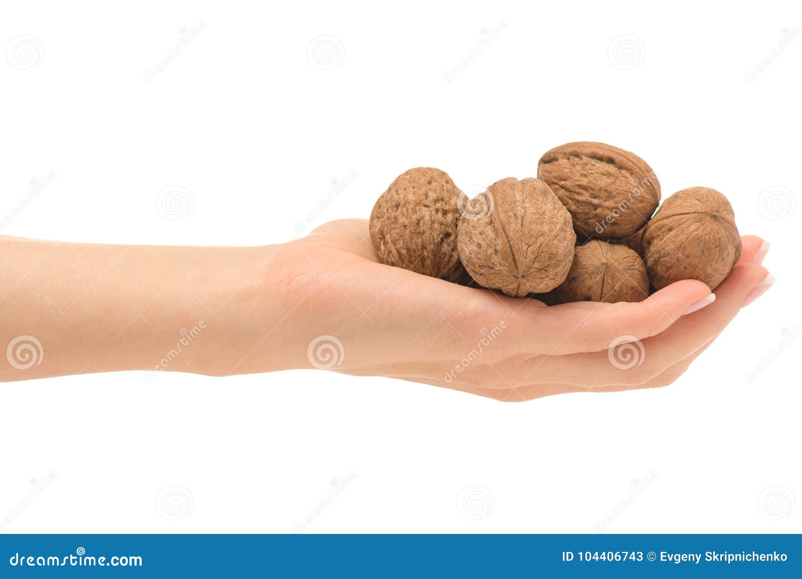 Female hand with walnut stock image. Image of broken - 104406743