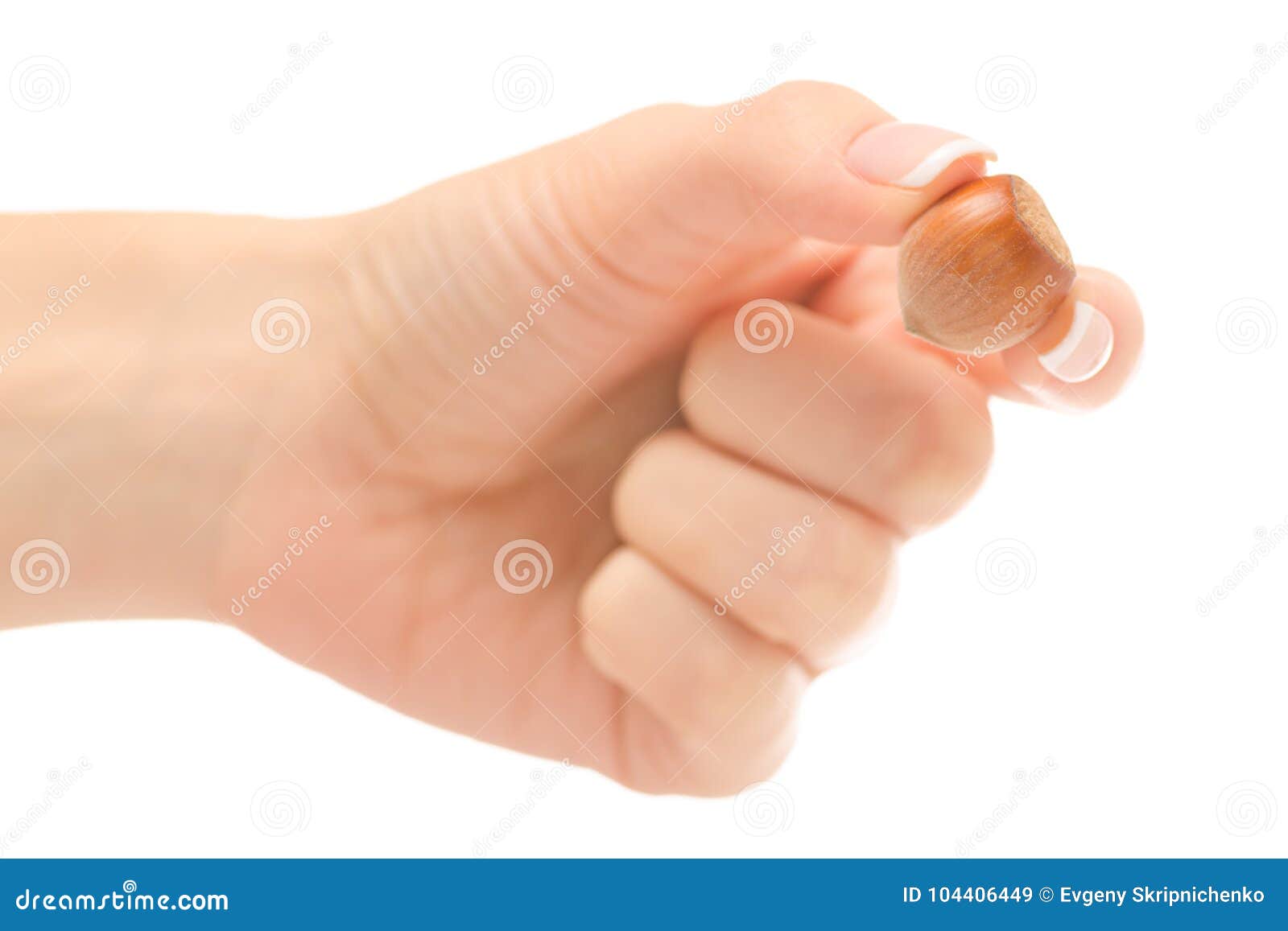 Female hand walnut stock image. Image of nature, fruit - 104406449