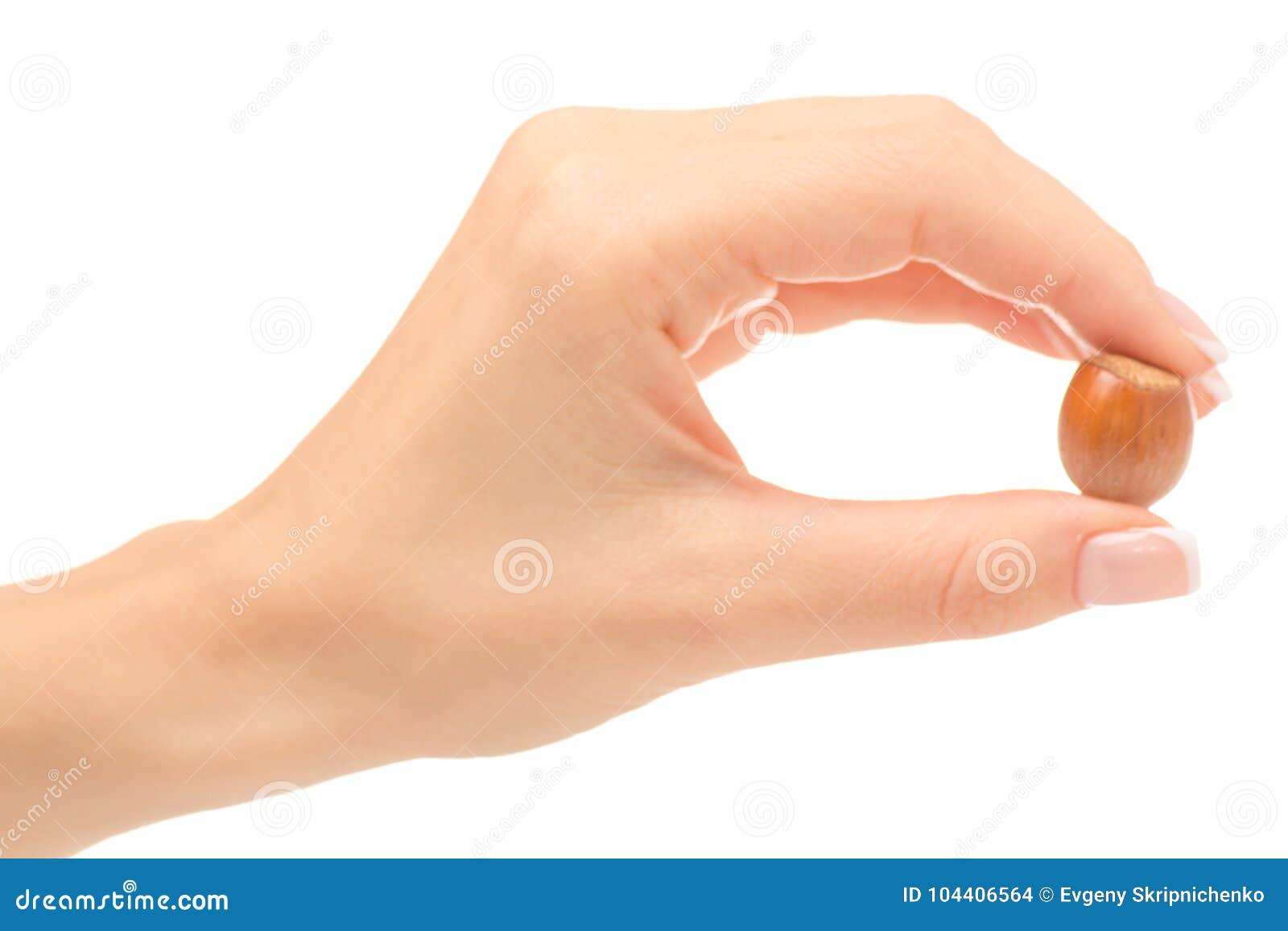 Female hand walnut stock photo. Image of nutrition, natural - 104406564