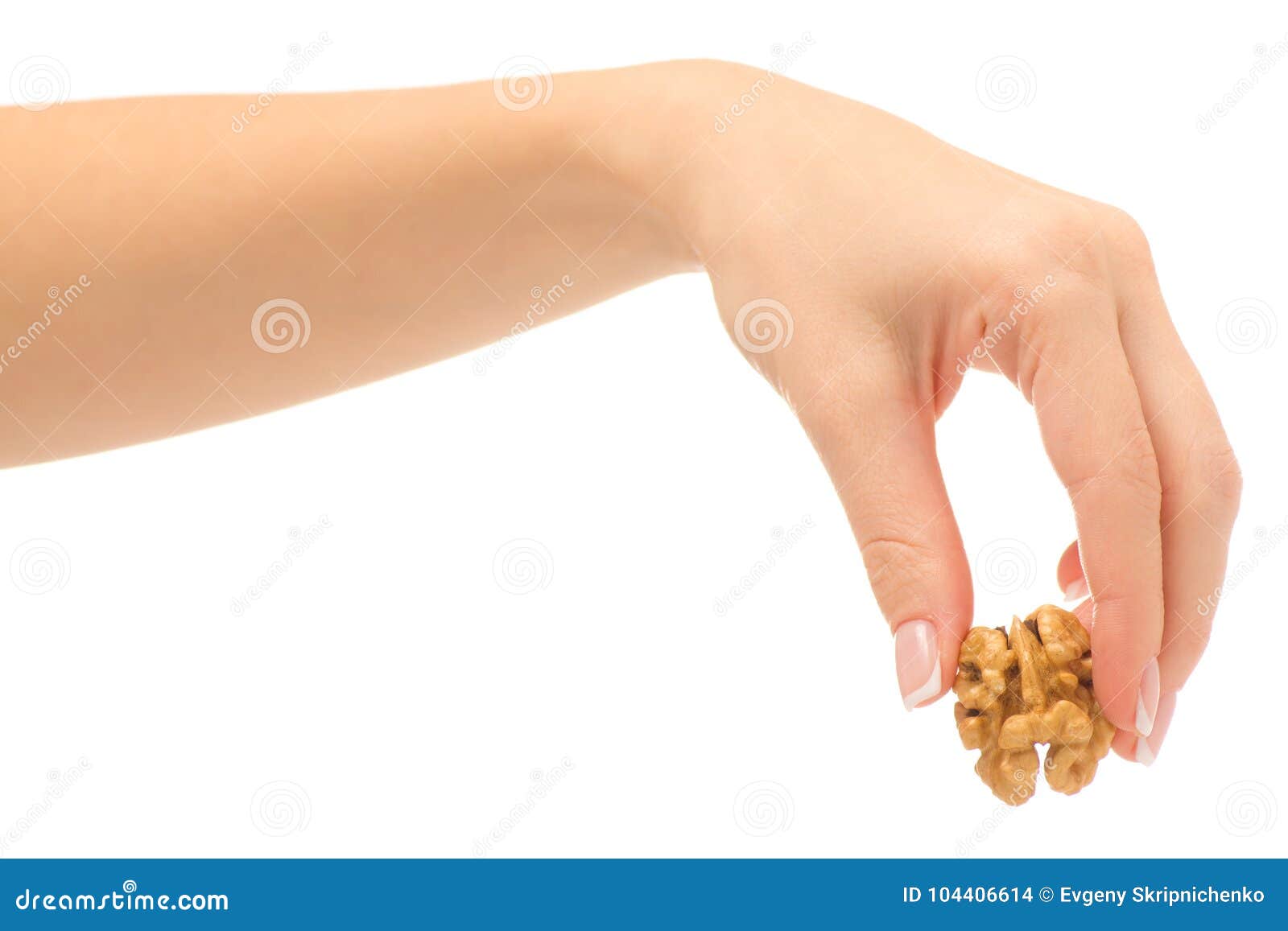 Female hand with walnut stock photo. Image of finger - 104406614
