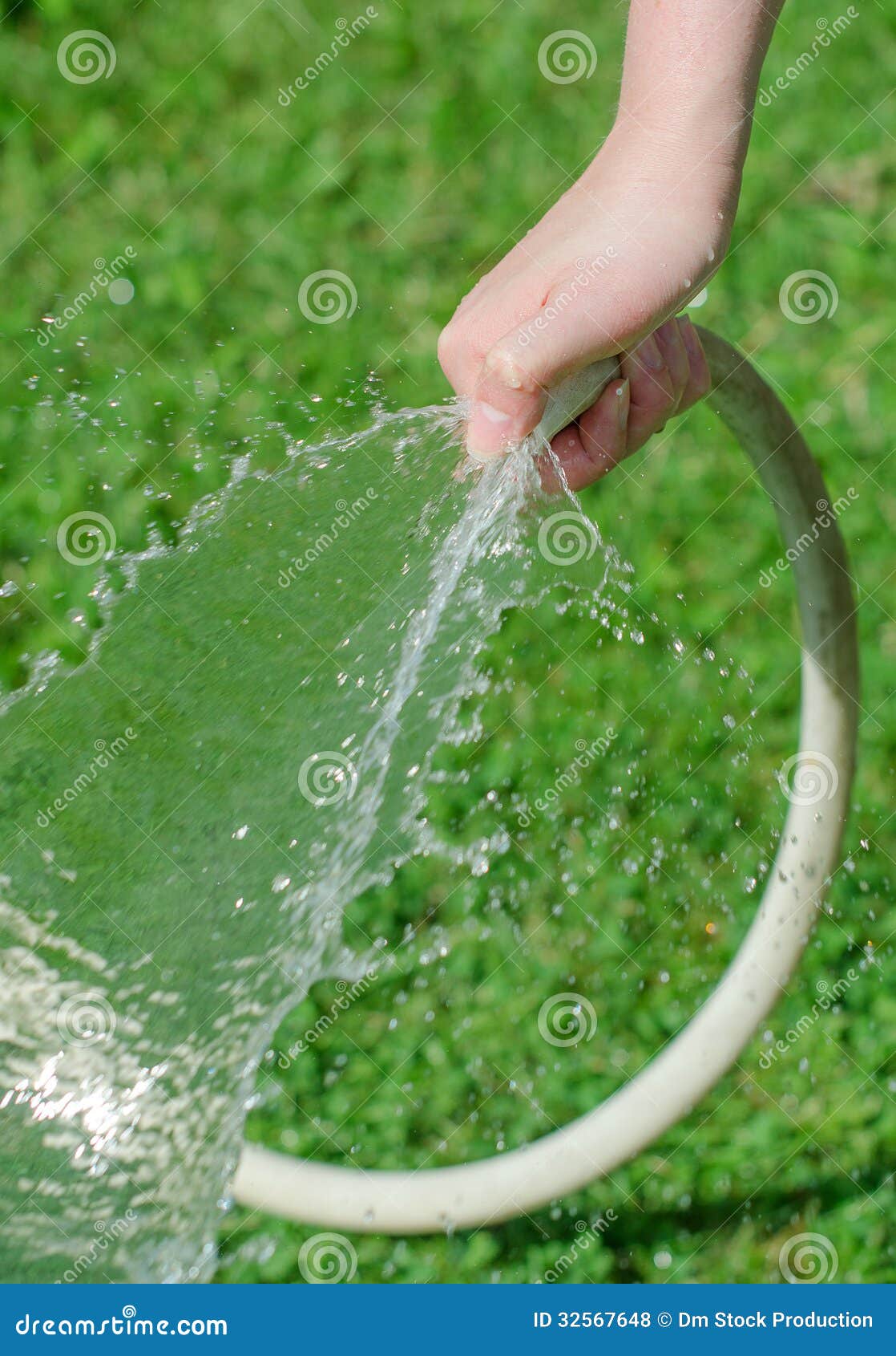 Female Hand Watering Plants Stock Photo - Image of green, freshness ...