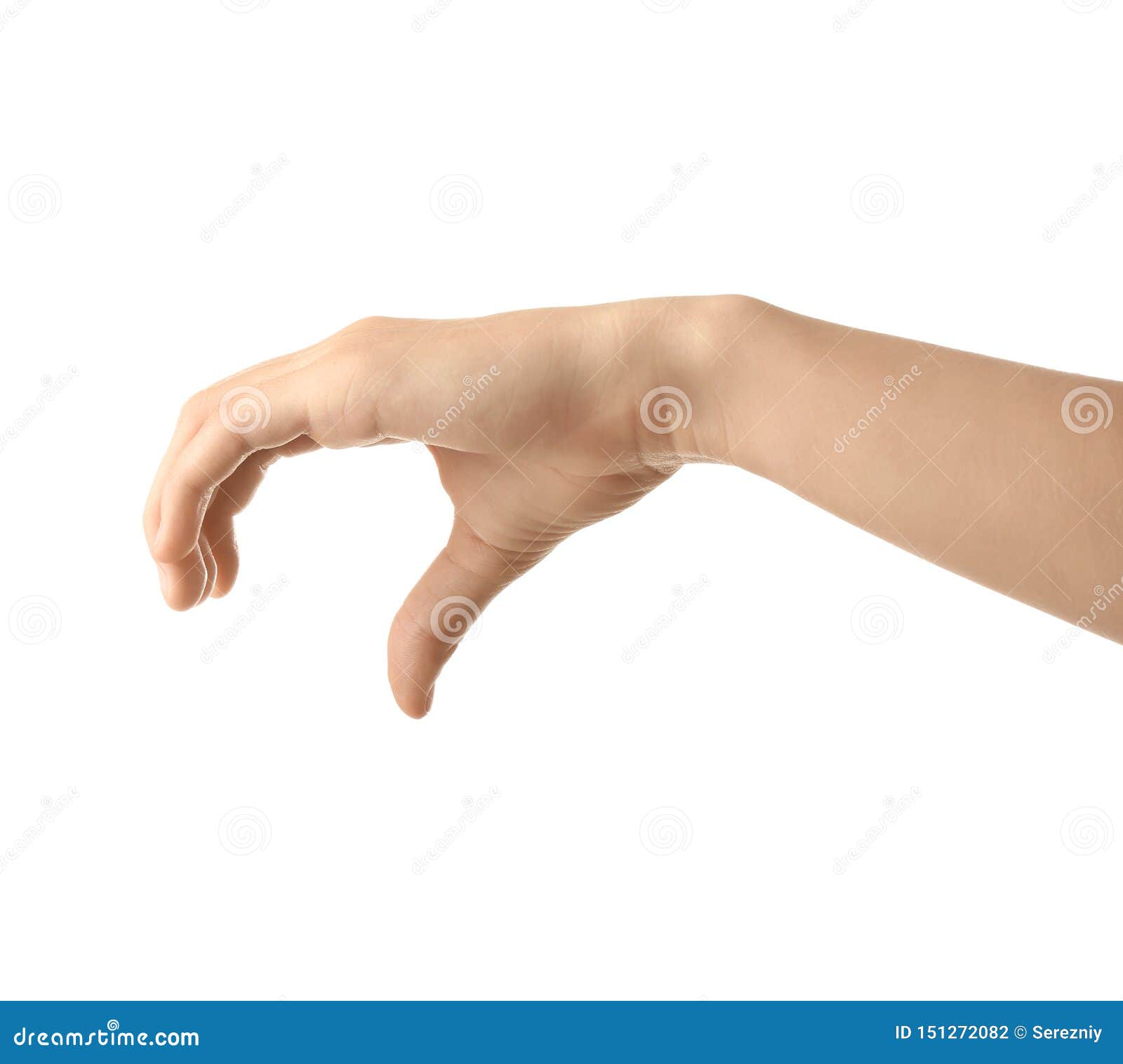 Female Hand on White Background Stock Photo - Image of wrist, gesture ...