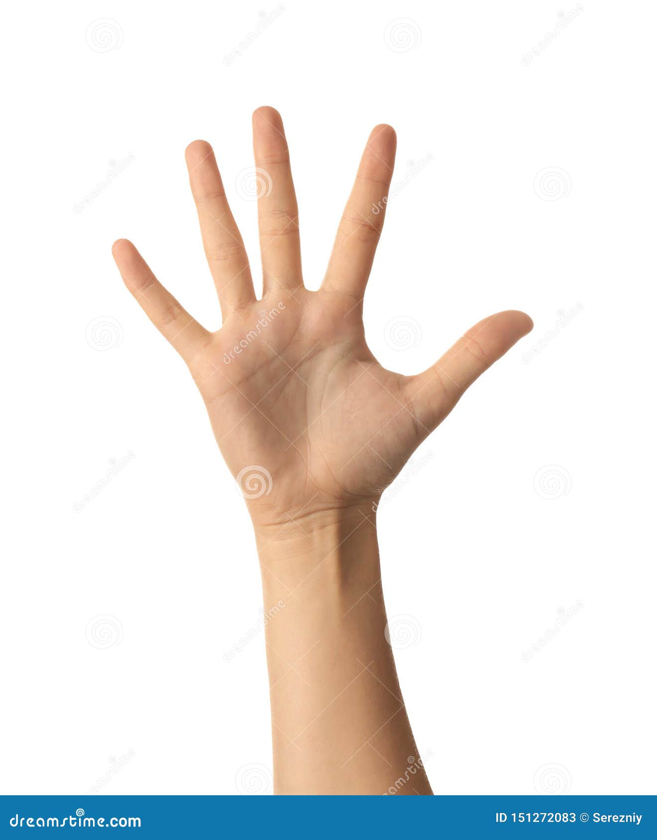 Female Hand on White Background Stock Image - Image of five, finger ...