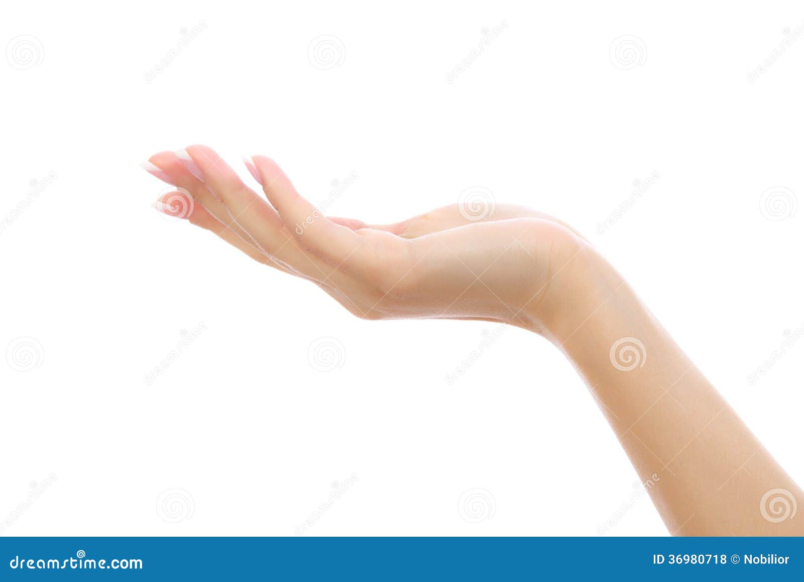 Female hand stock photo. Image of beauty, manicure, giving - 36980718