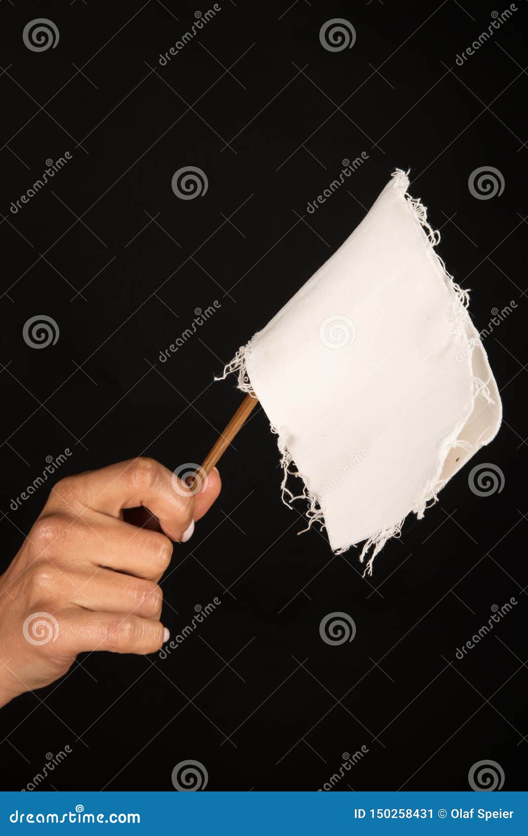 Female Hand with White Flag Stock Image - Image of desperate, white ...