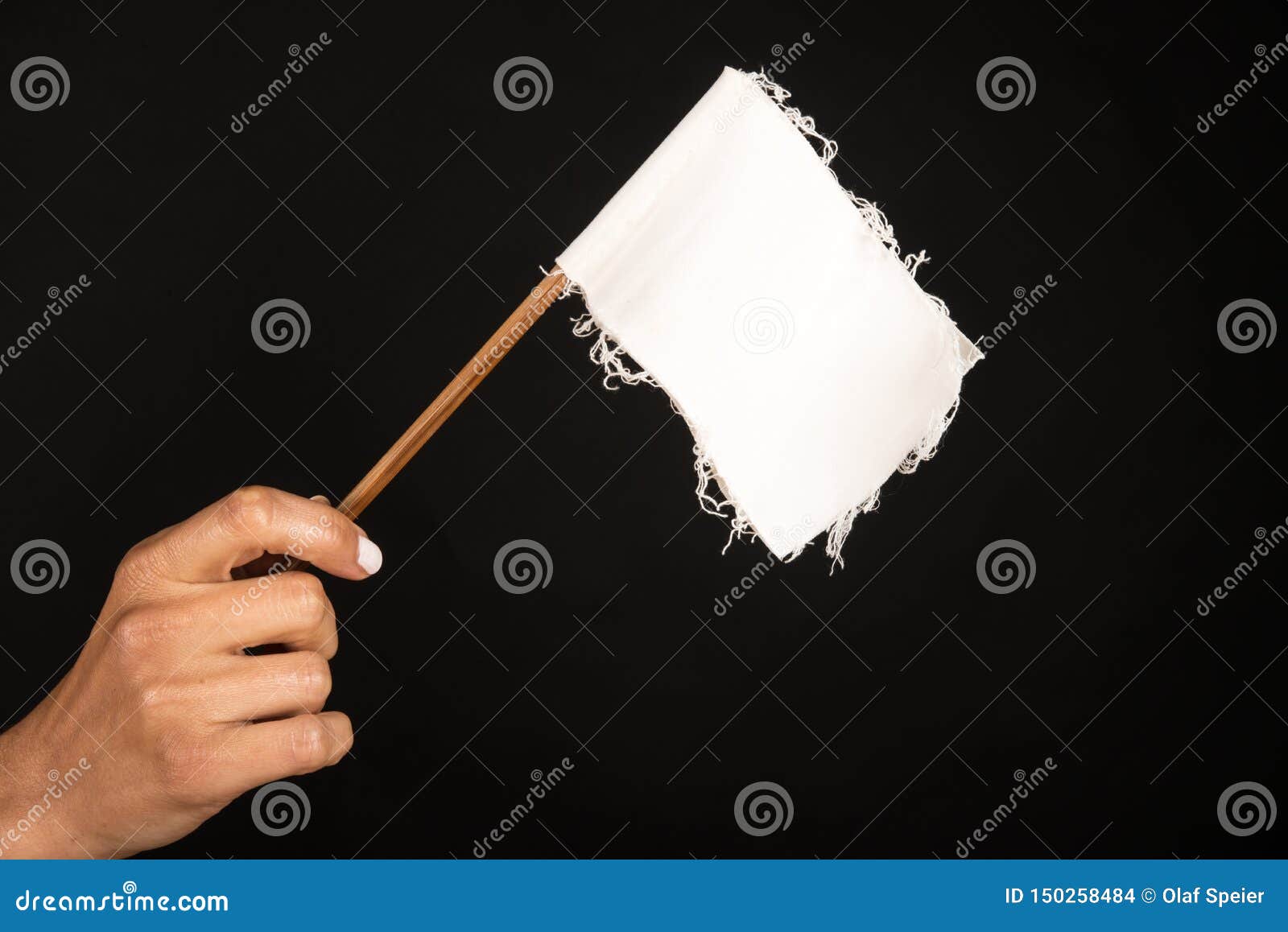 Female Hand with White Flag Stock Photo - Image of white, desperate ...