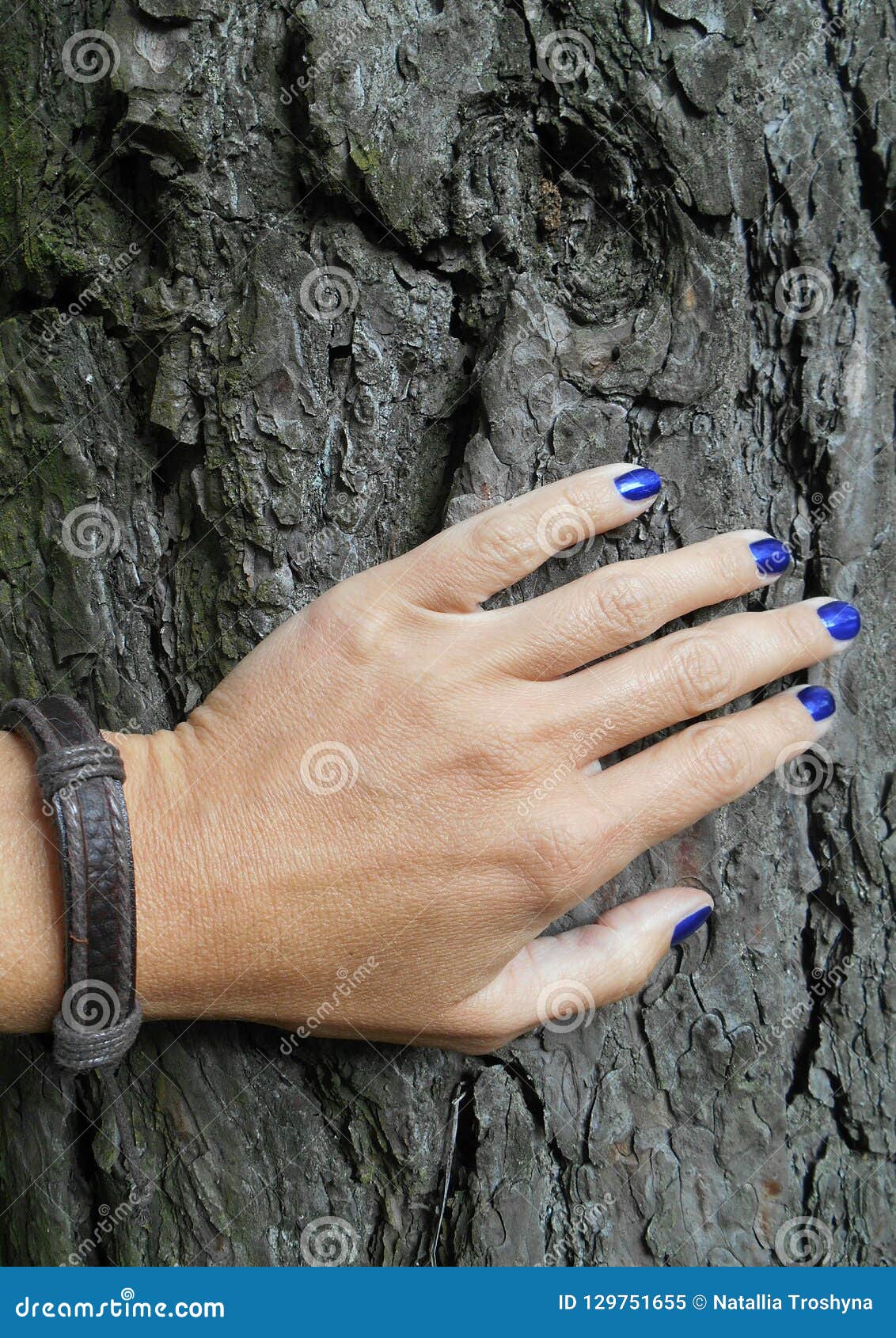 Female Hand on Wood Background Stock Image - Image of tree, beauty ...