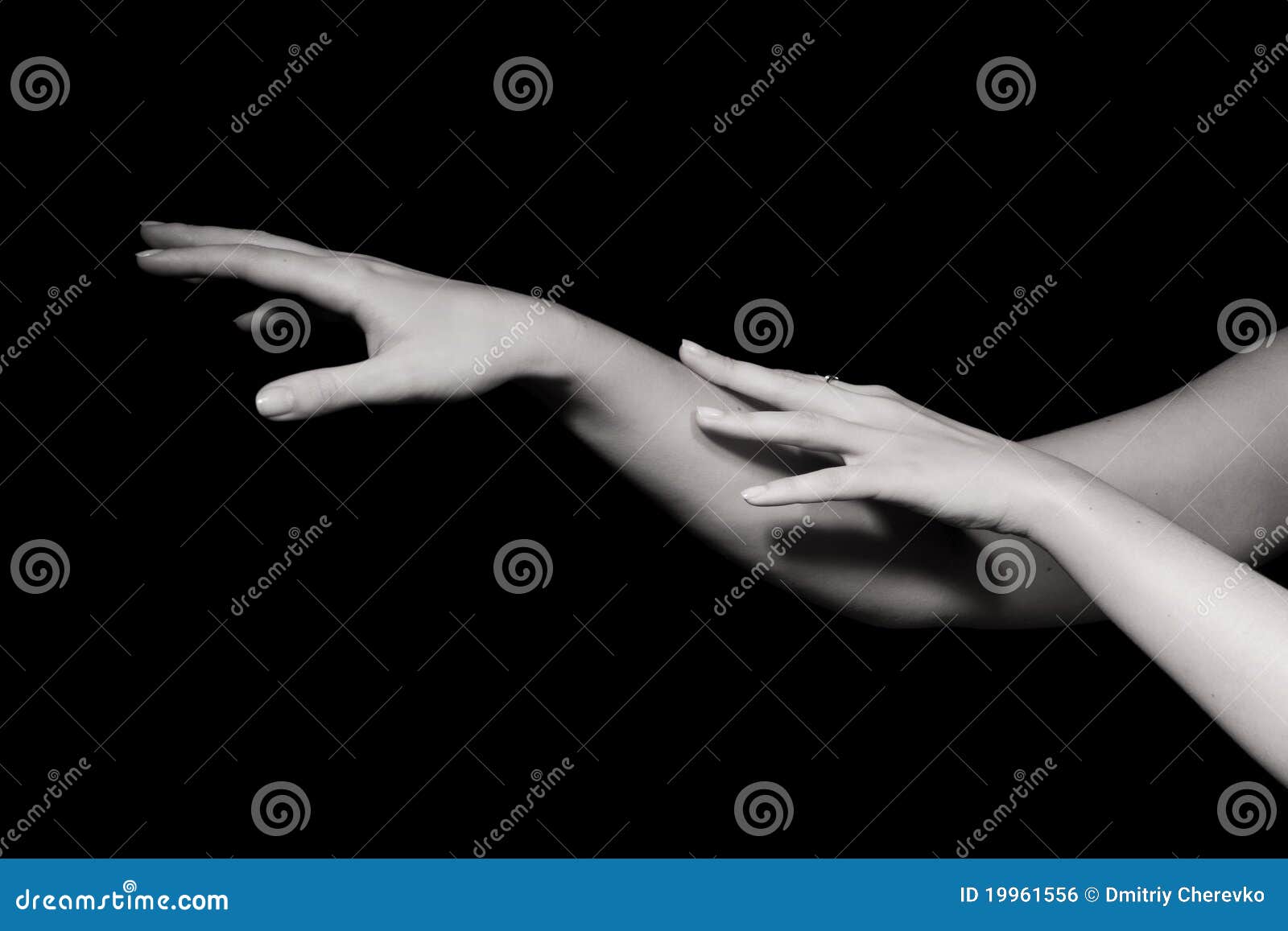 Female hands stock photo. Image of body, closeup, caucasian - 19961556