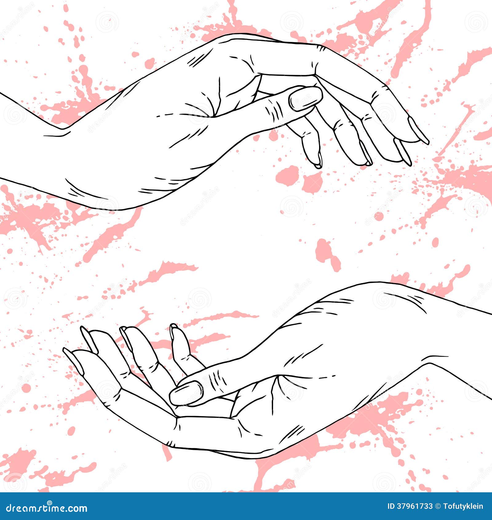 Female hands stock vector. Illustration of female, hand - 37961733