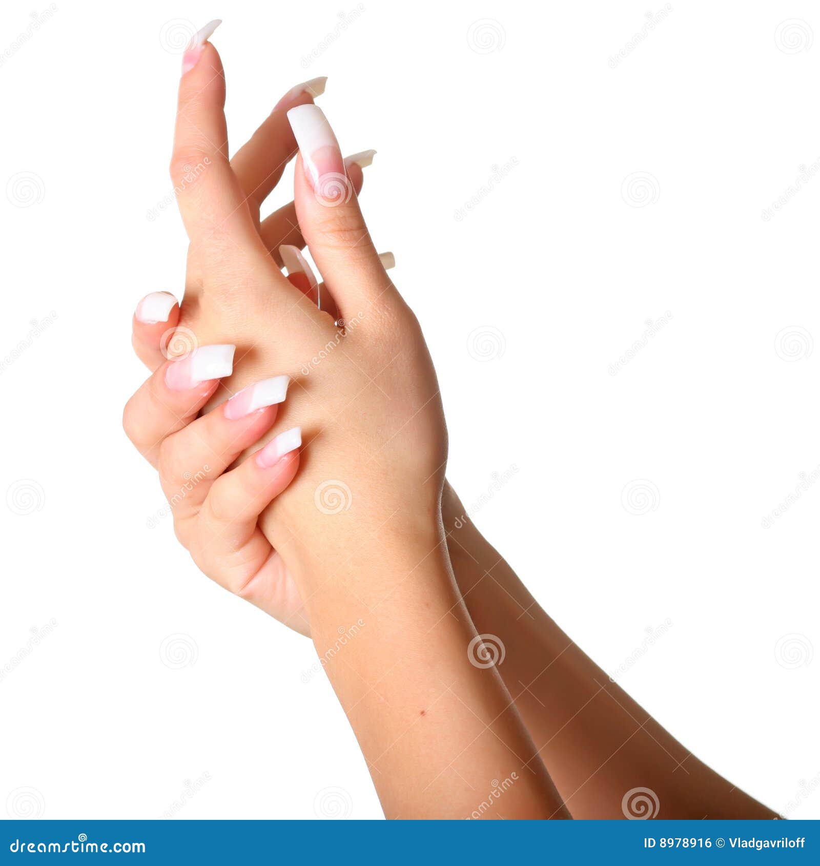 Female Hands Royalty Free Stock Image - Image: 8978916