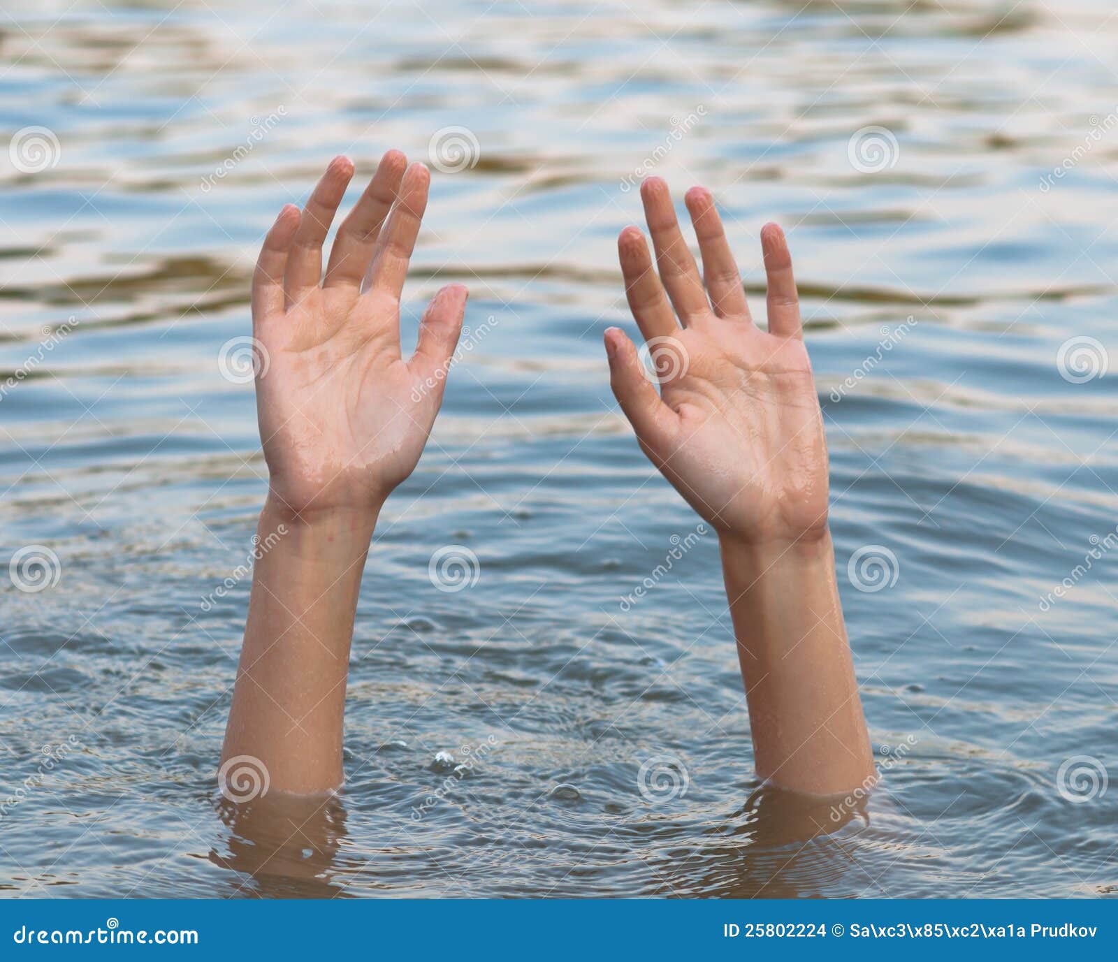 Female Hands and Arms Protruding from the Water Stock Photo - Image of ...