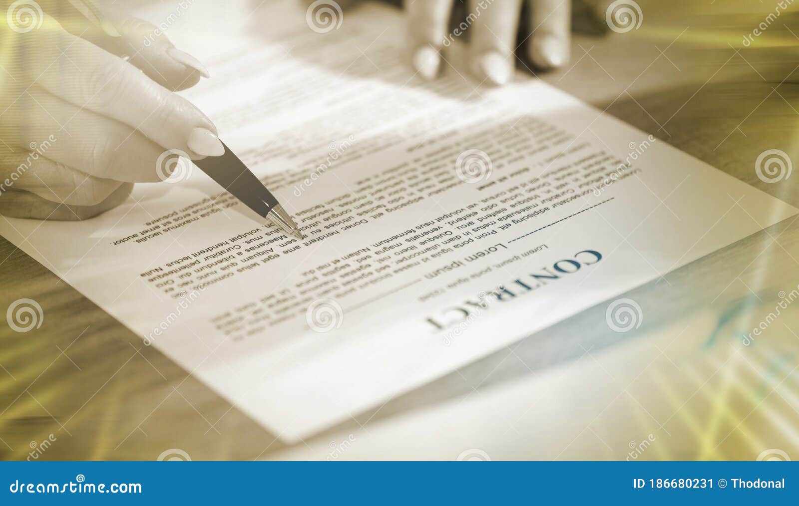 Female Hands Checking Contract; Light Effect Stock Image - Image of ...