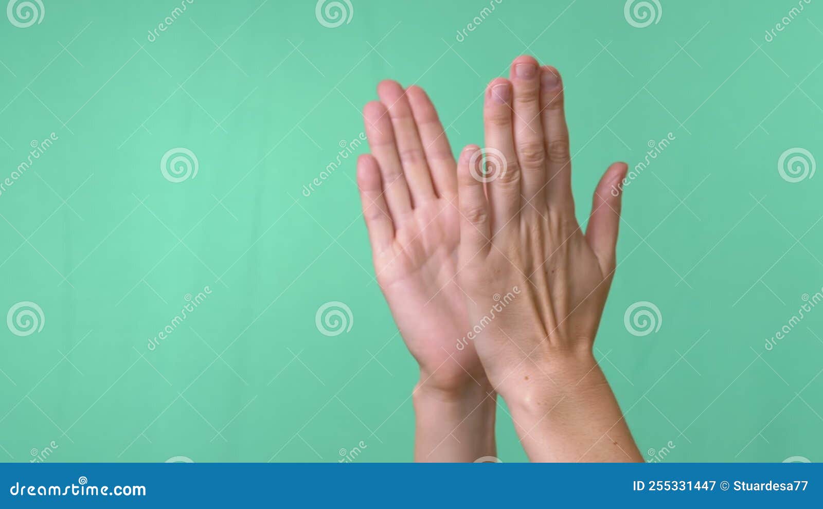 Female Hands Clapping Their Hands on Empty Isolated Green Chroma Key ...