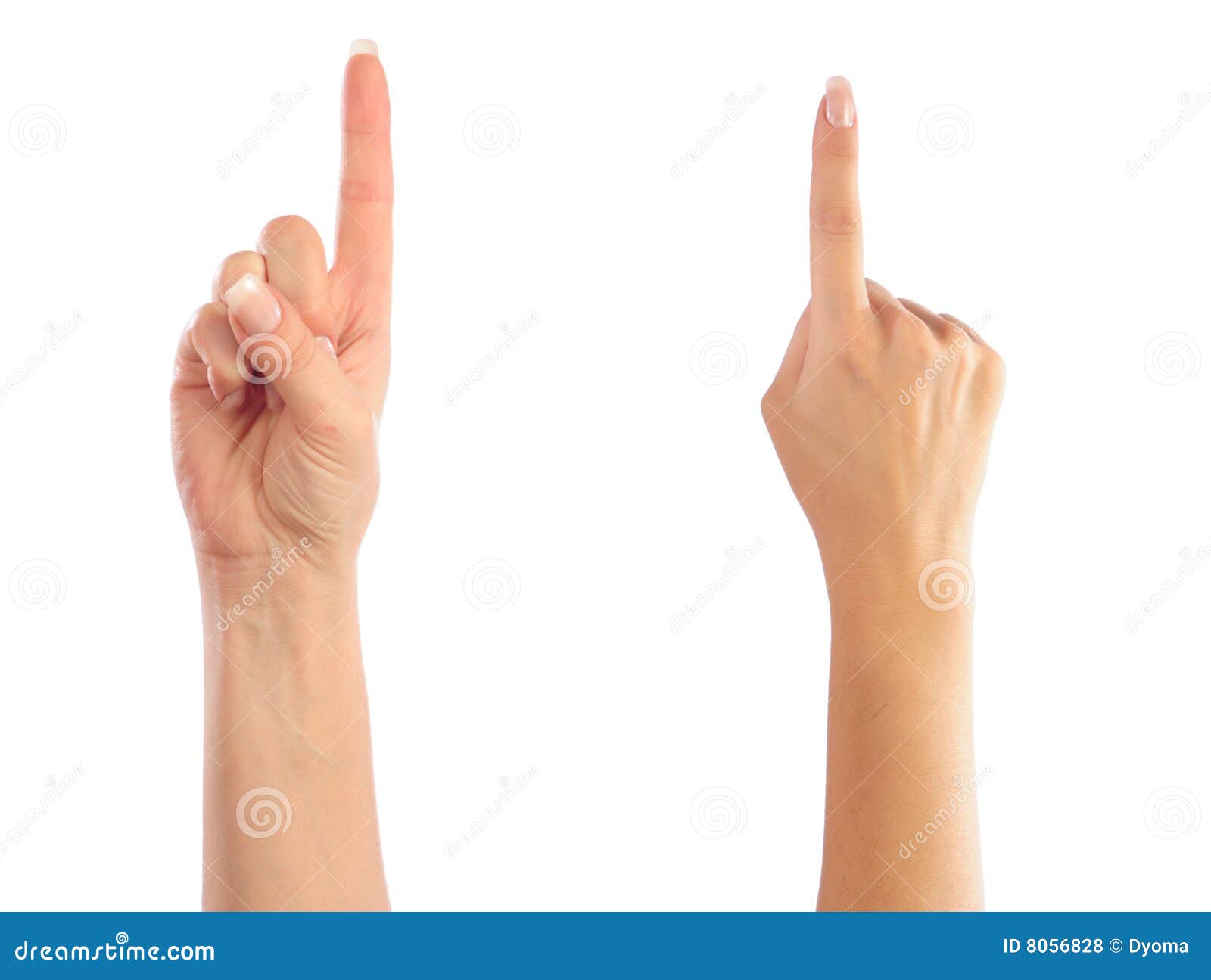 Female hands counting stock photo. Image of hands, index - 8056828