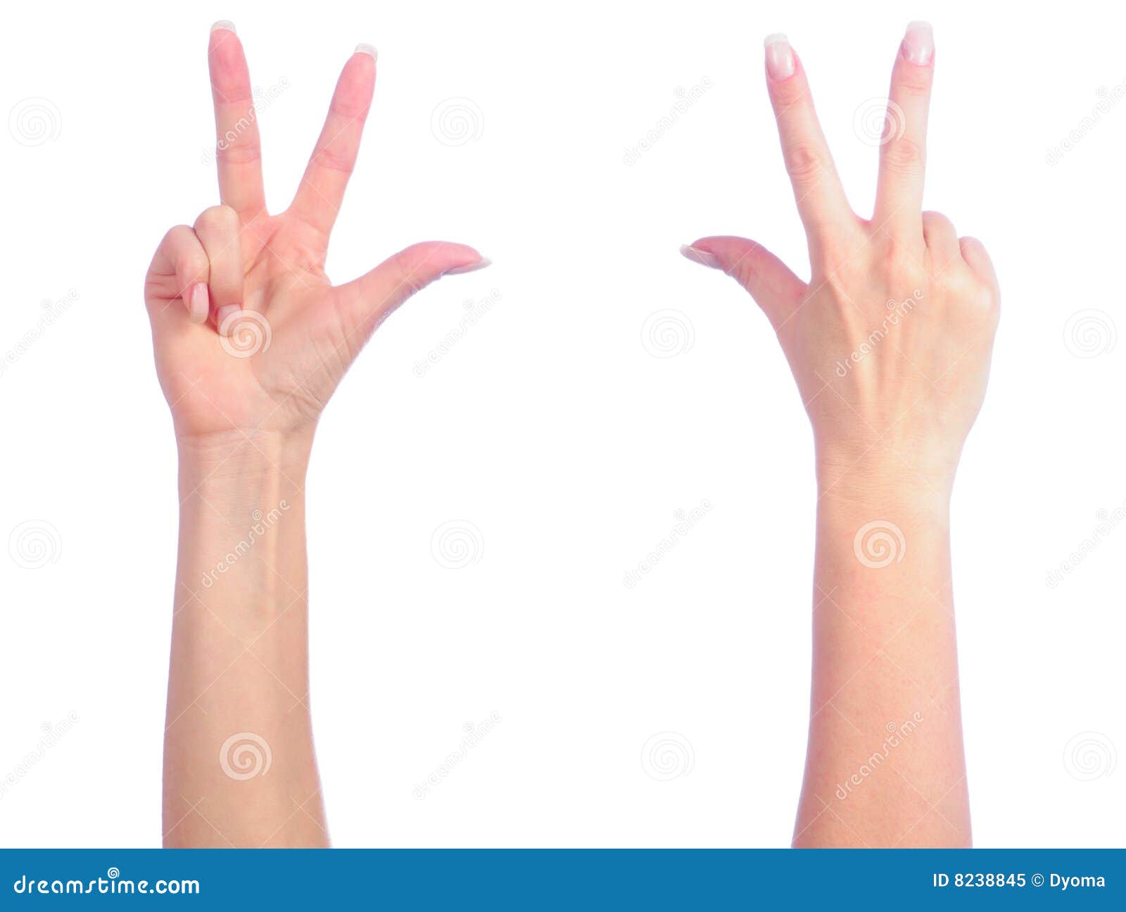 Female hands counting stock image. Image of countdown - 8238845