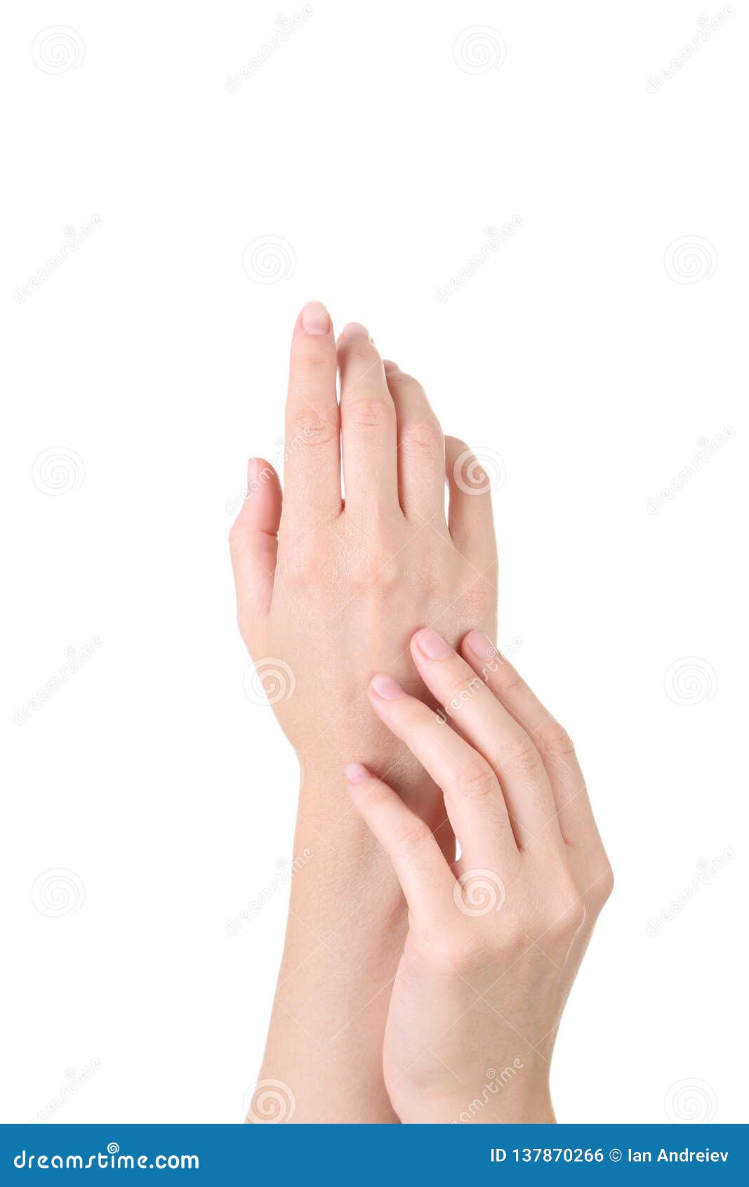 Female hands stock photo. Image of human, hands, ideas - 137870266