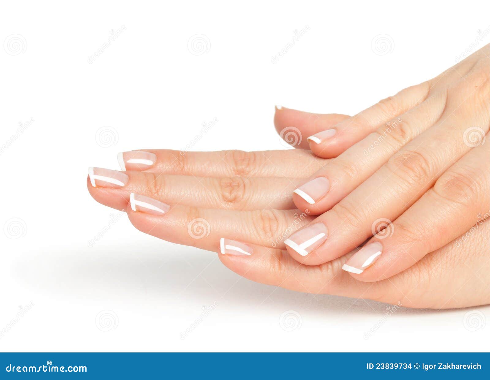 Female Hands with French Manicure Stock Photo - Image of fingers, hand ...