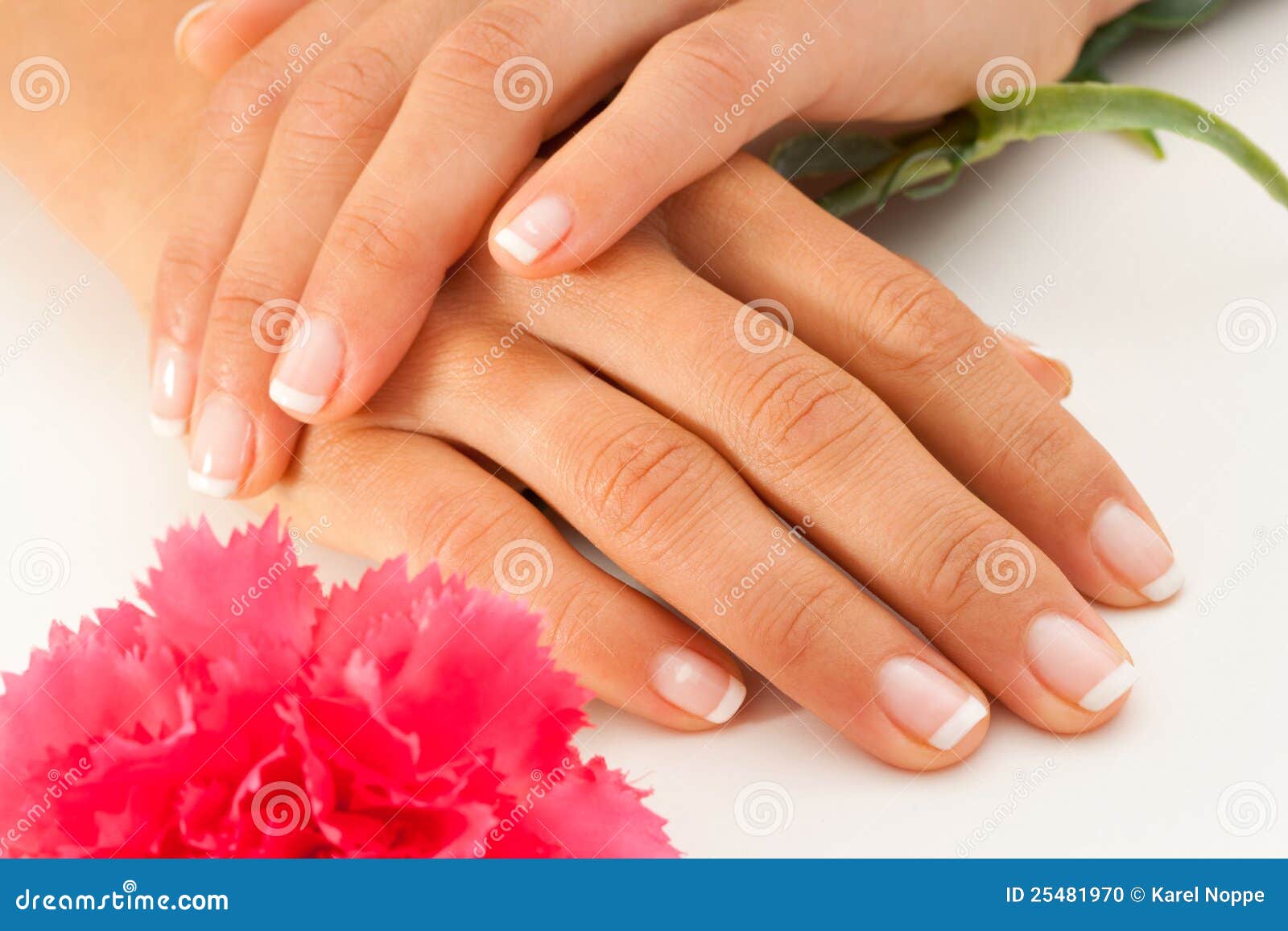 Female Hands with French Manicure. Stock Photo - Image of fingernail ...