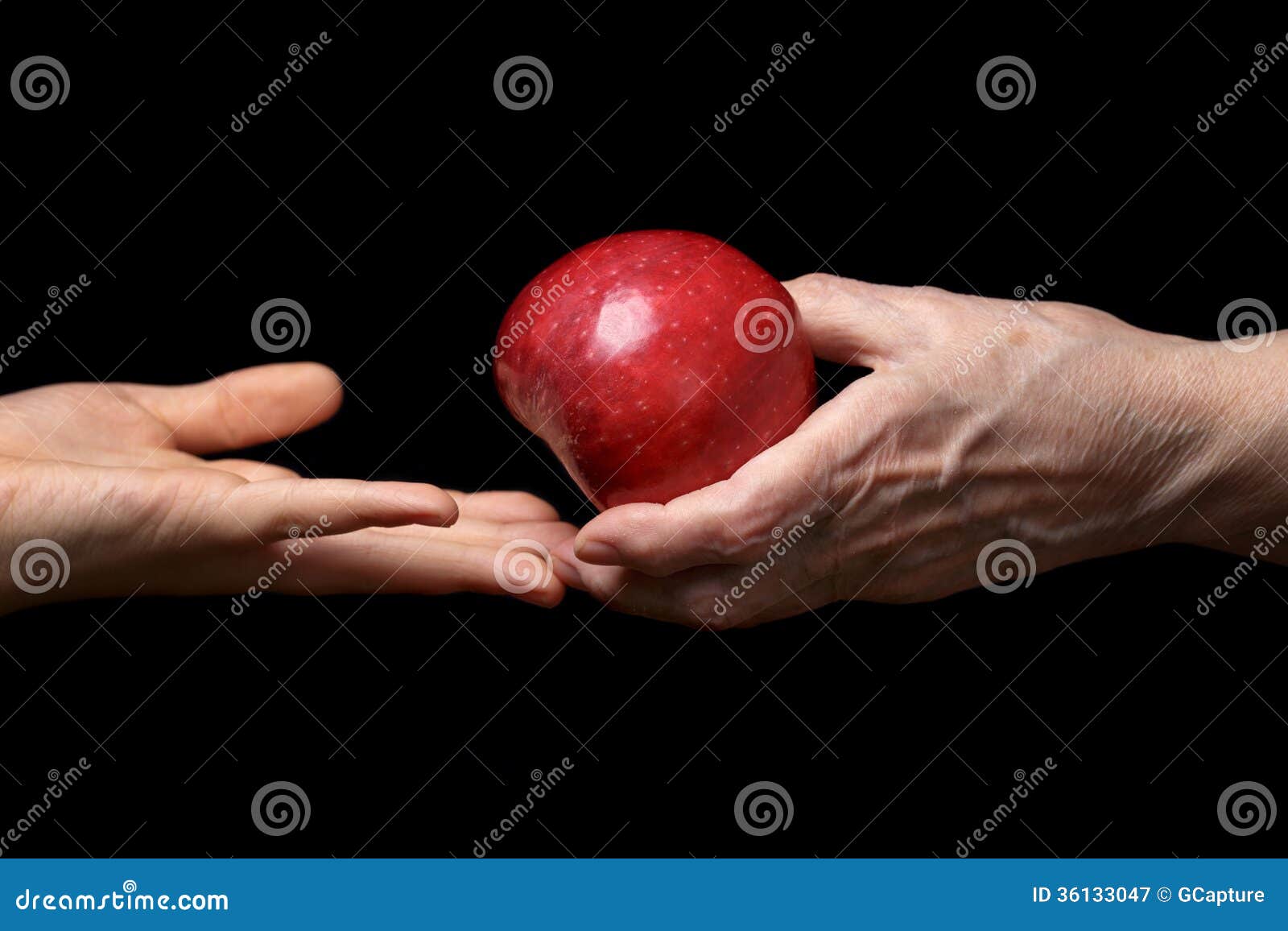 Female hands giving apple stock image. Image of female - 36133047