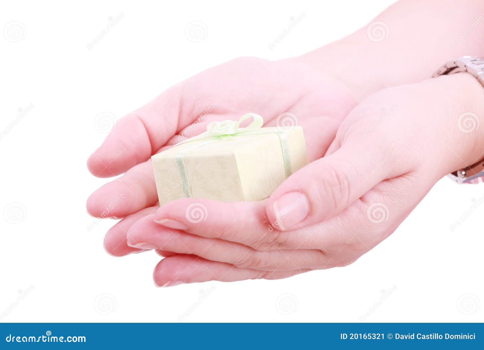 Female Hands Giving a Gift. Stock Image - Image of arms, holding: 20165321