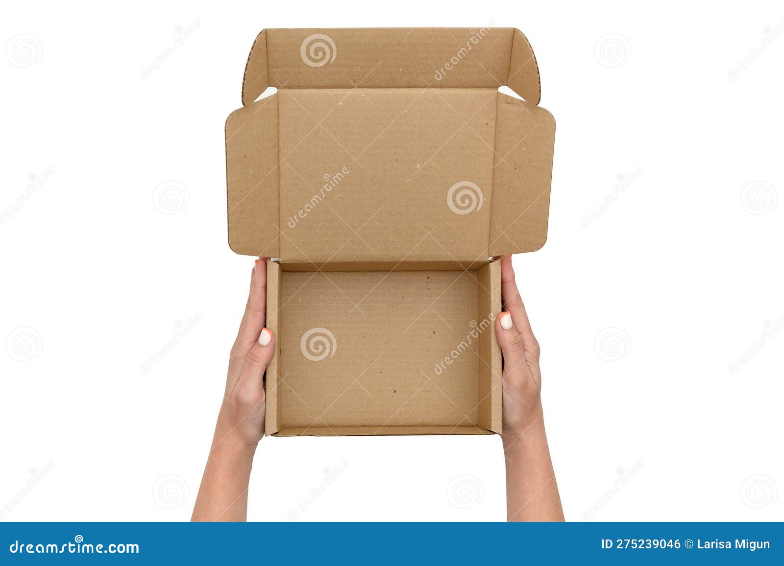 Female Hands Hold an Empty Craft Box. on a White Background Stock Photo ...