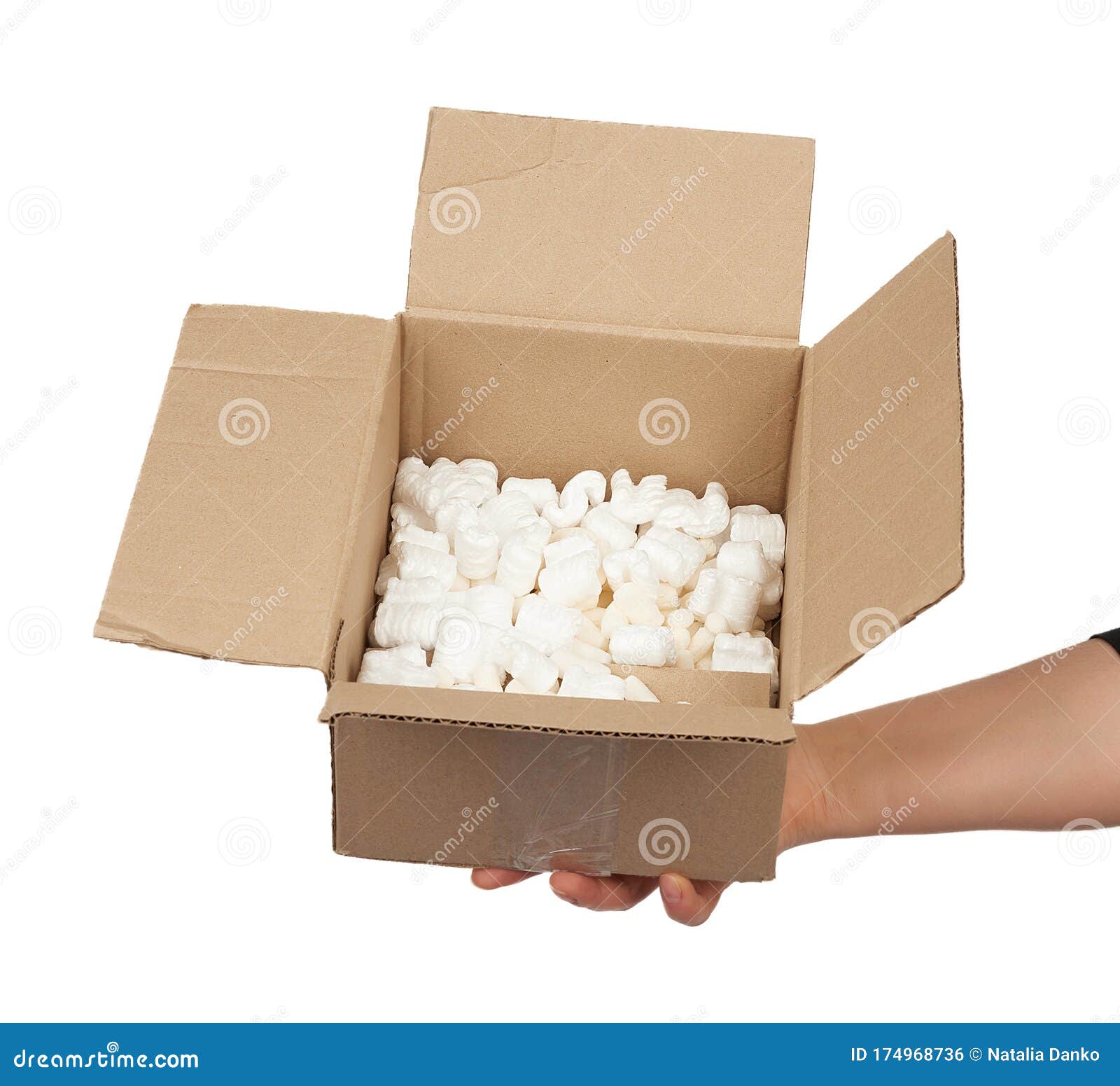 Female Hands Hold an Empty Open Box of Brown Cardboard Stock Photo ...