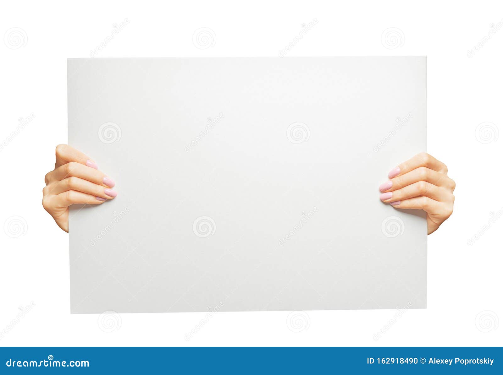 Female Hands Holding Blank Poster, Copy-space. Stock Photo - Image of ...