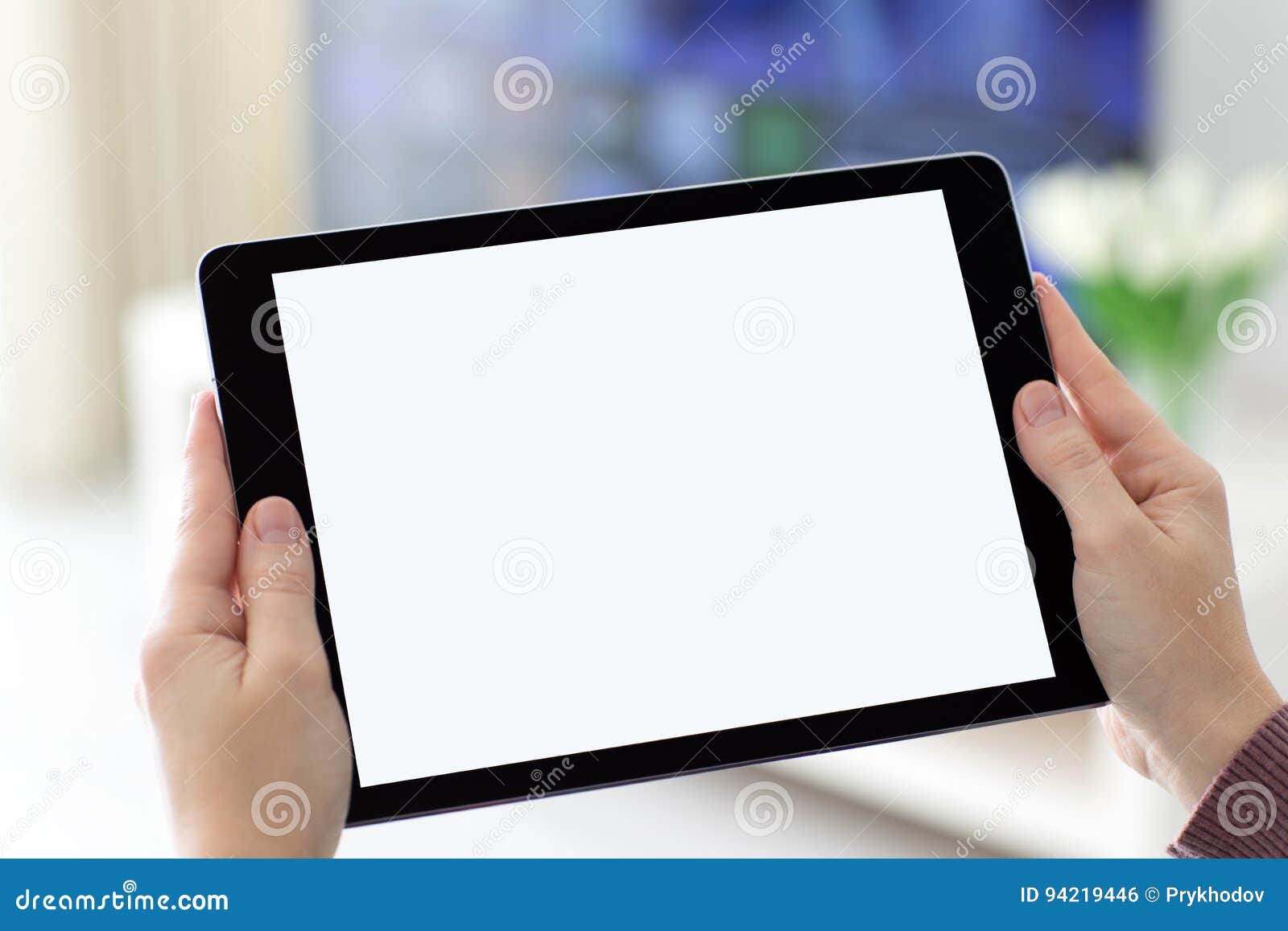 Female Hands Holding Computer Tablet with Isolated Screen in Room Stock ...