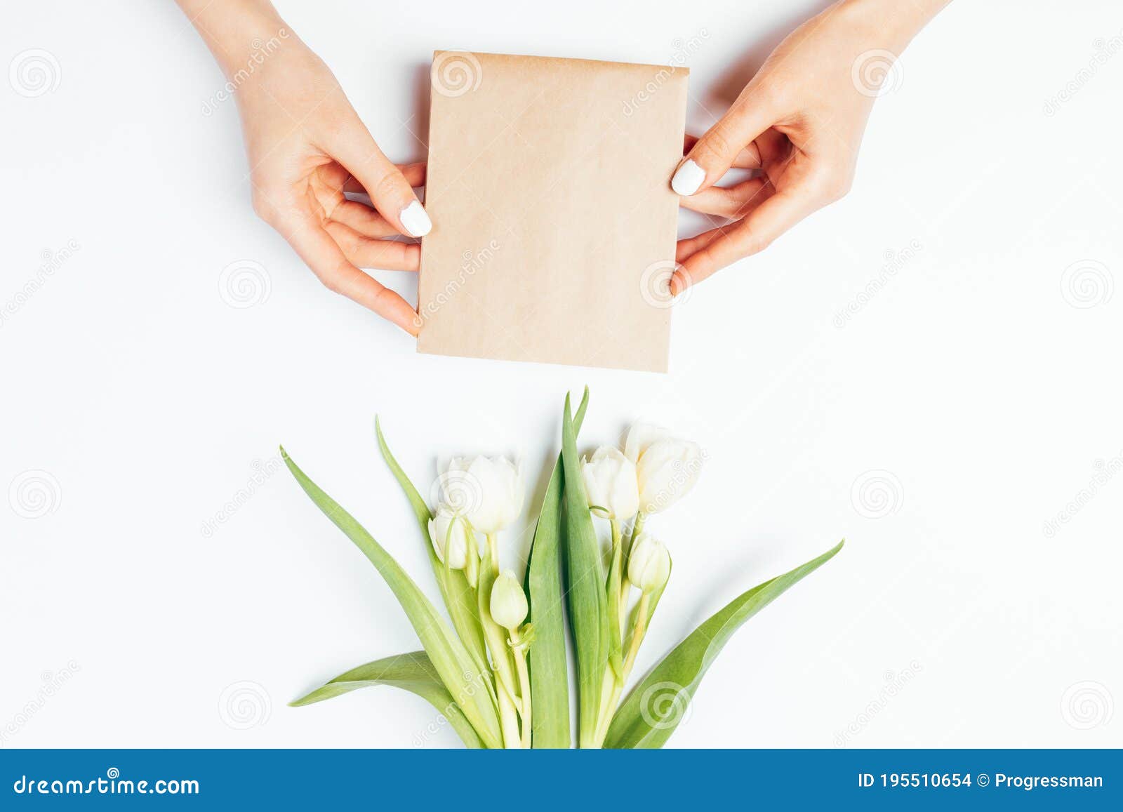 Female Hands Holding Empty Greeting Card Stock Photo - Image of ...