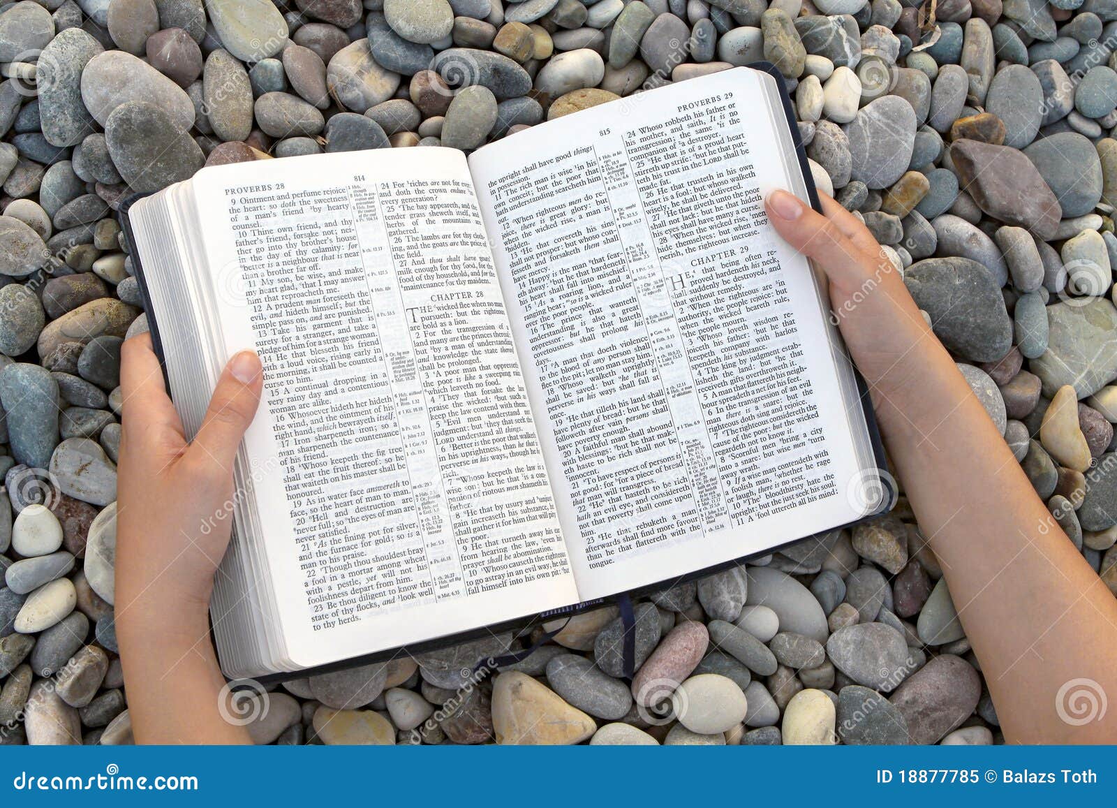 Female Hands Holding Open Bible Stock Image - Image of research, belief ...