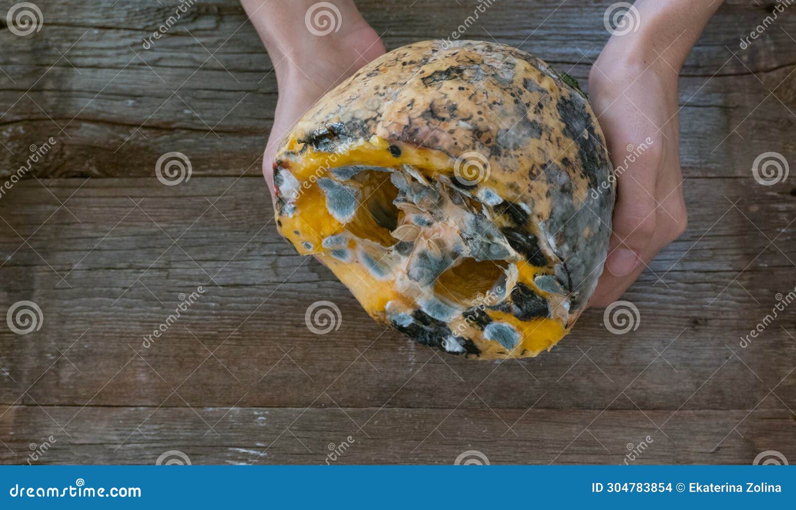 Female Hands Holding a Spoiled Moldy Pumpkin Stock Photo - Image of ...