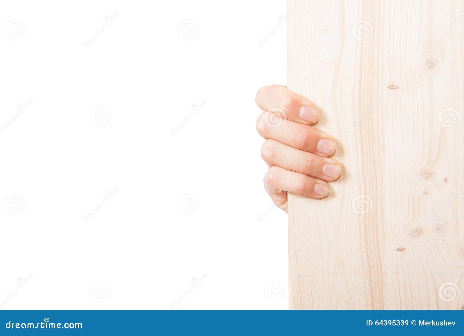 Female Hands Holding a Wooden Board Stock Image - Image of board ...