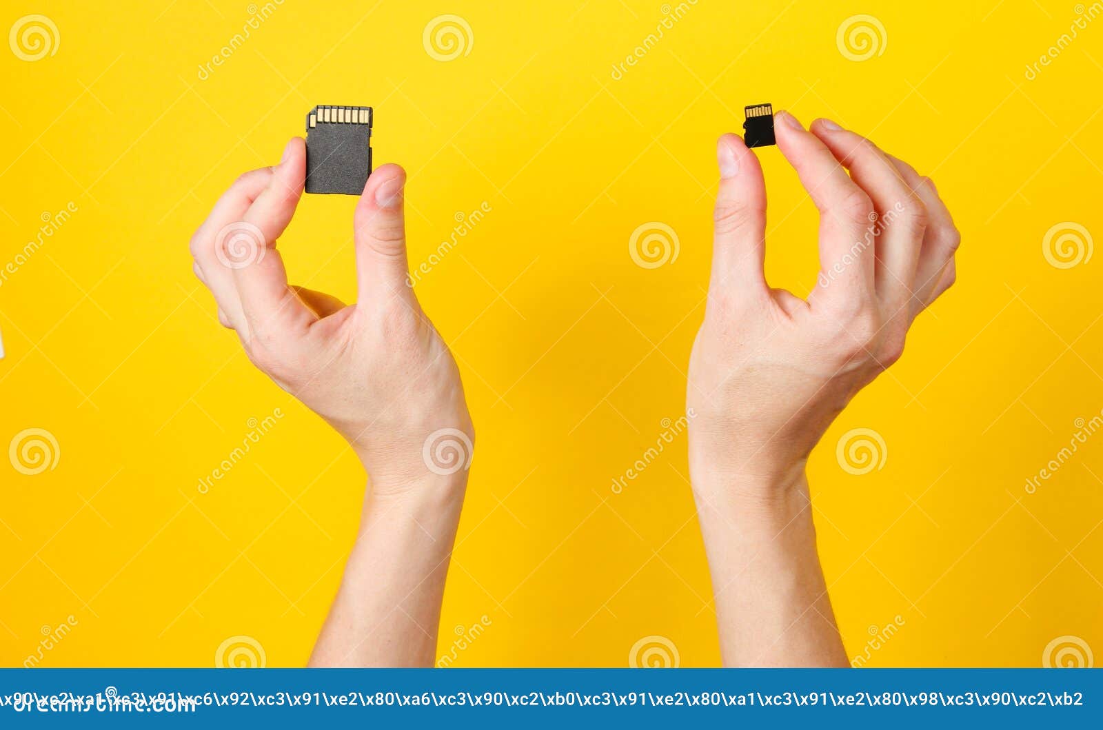 Sd card stock photo. Image of concept, computer, mini - 171147572