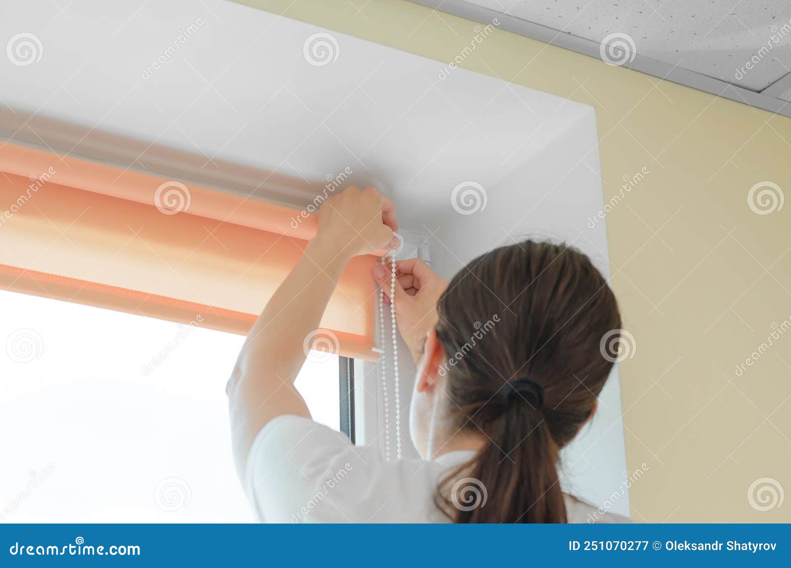 Female Installing Roller Blinds on the Window. Installation of Roller ...