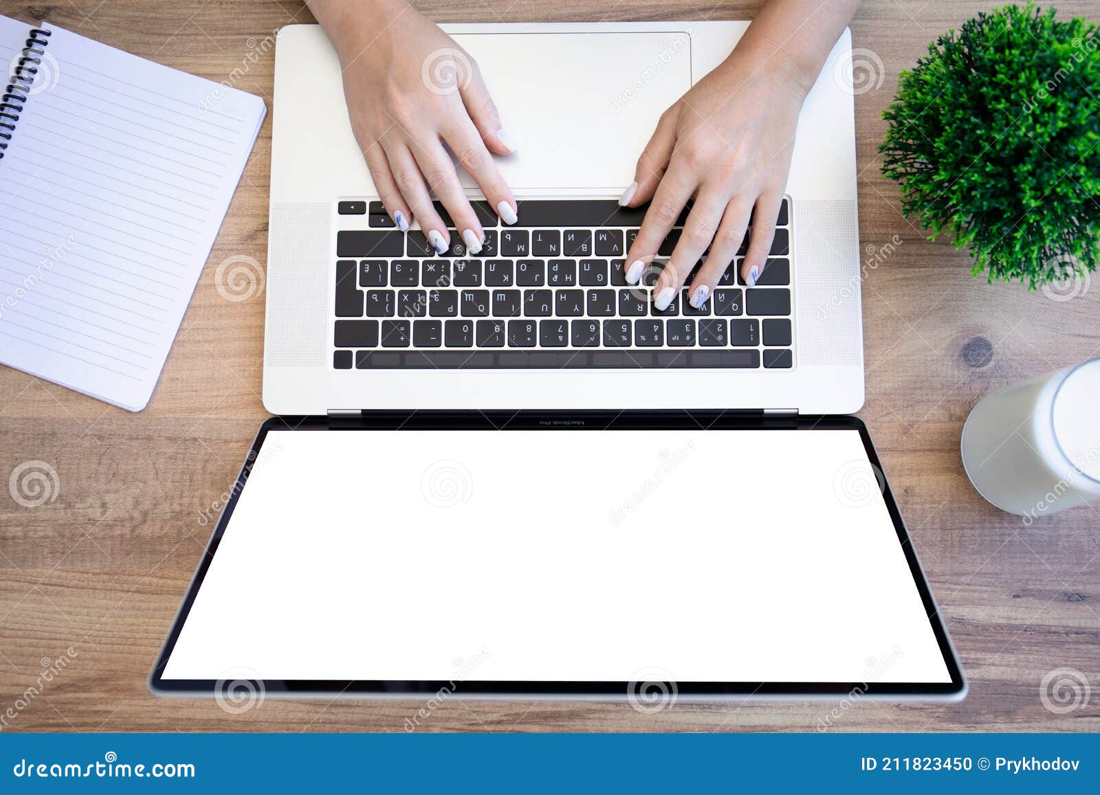 Female Hands on Laptop Computer Keyboard with Screen Stock Photo ...