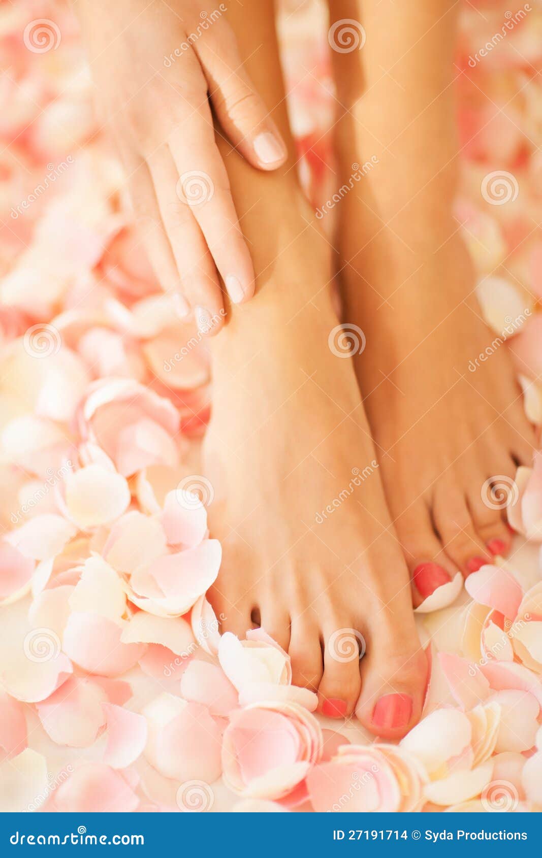 Female hands and legs stock photo. Image of pedicure - 27191714