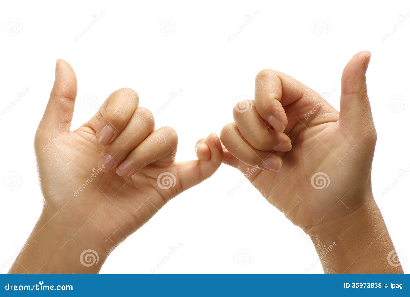 Female Hands Making Union Friendly Positive Gesture Stock Photo - Image ...