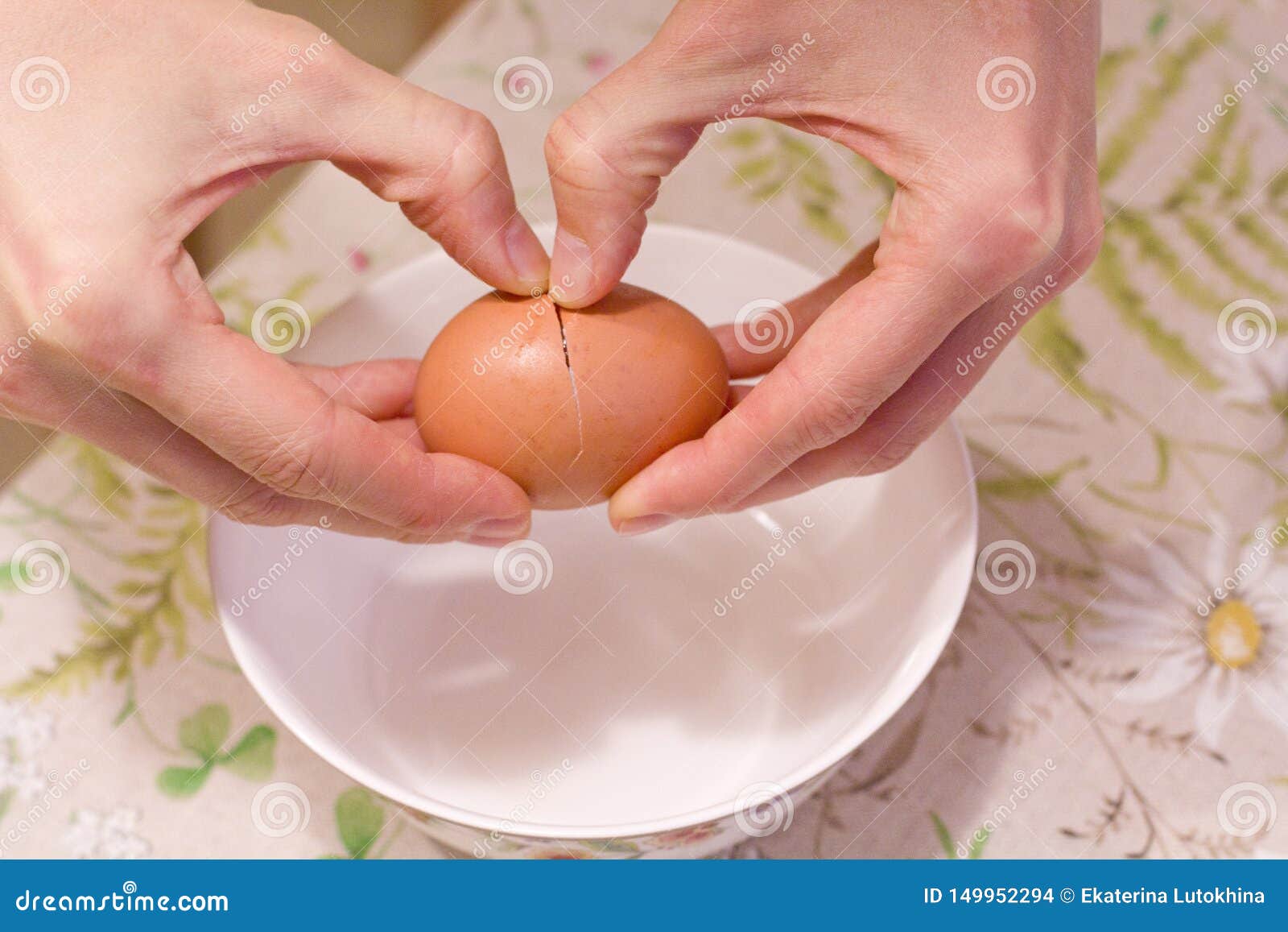 Female Hands Open the Egg. the Process of Opening Eggs for Making Cake ...