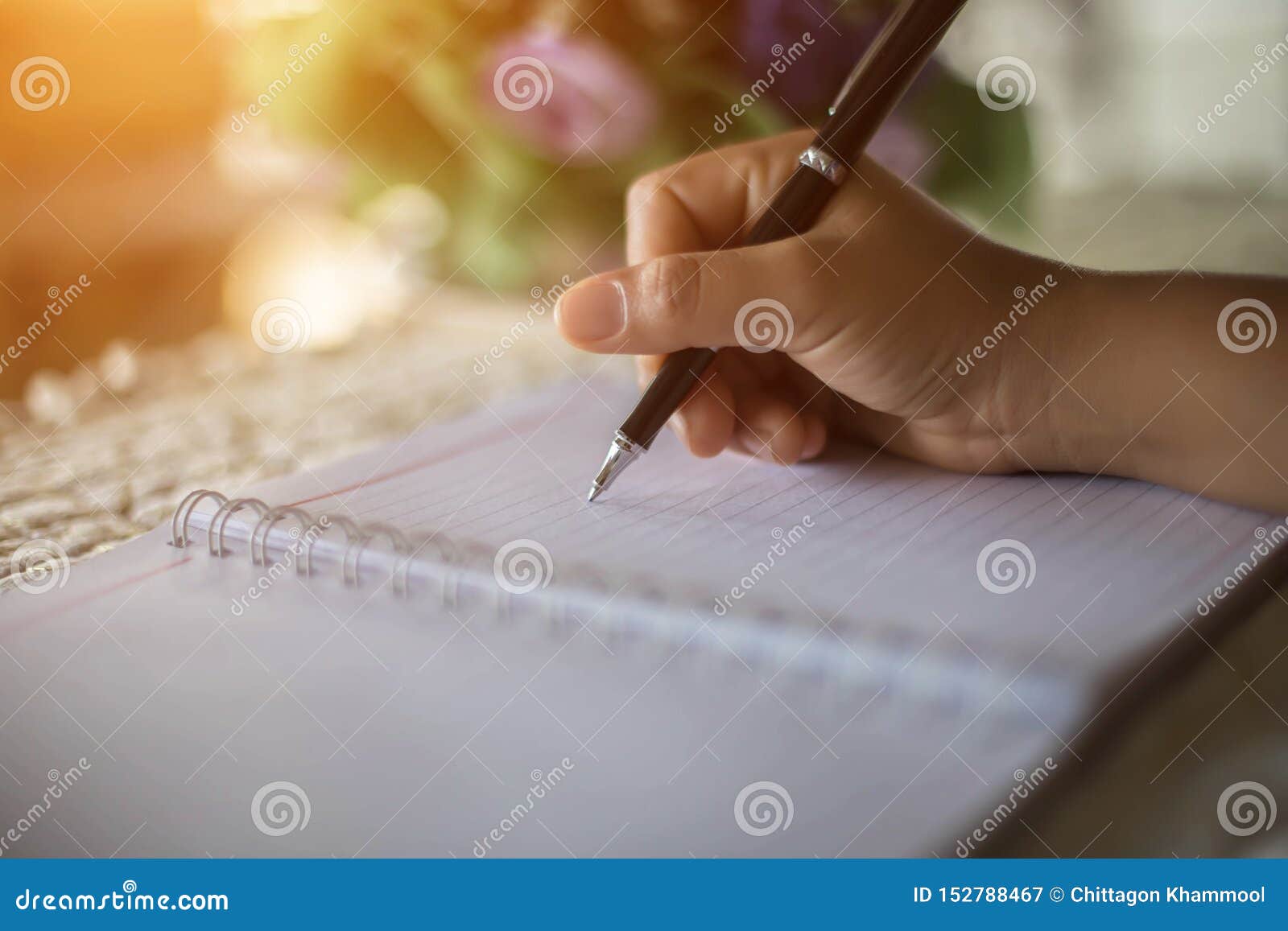 Female Hands with Pen Writing on Notebook Stock Image - Image of book ...